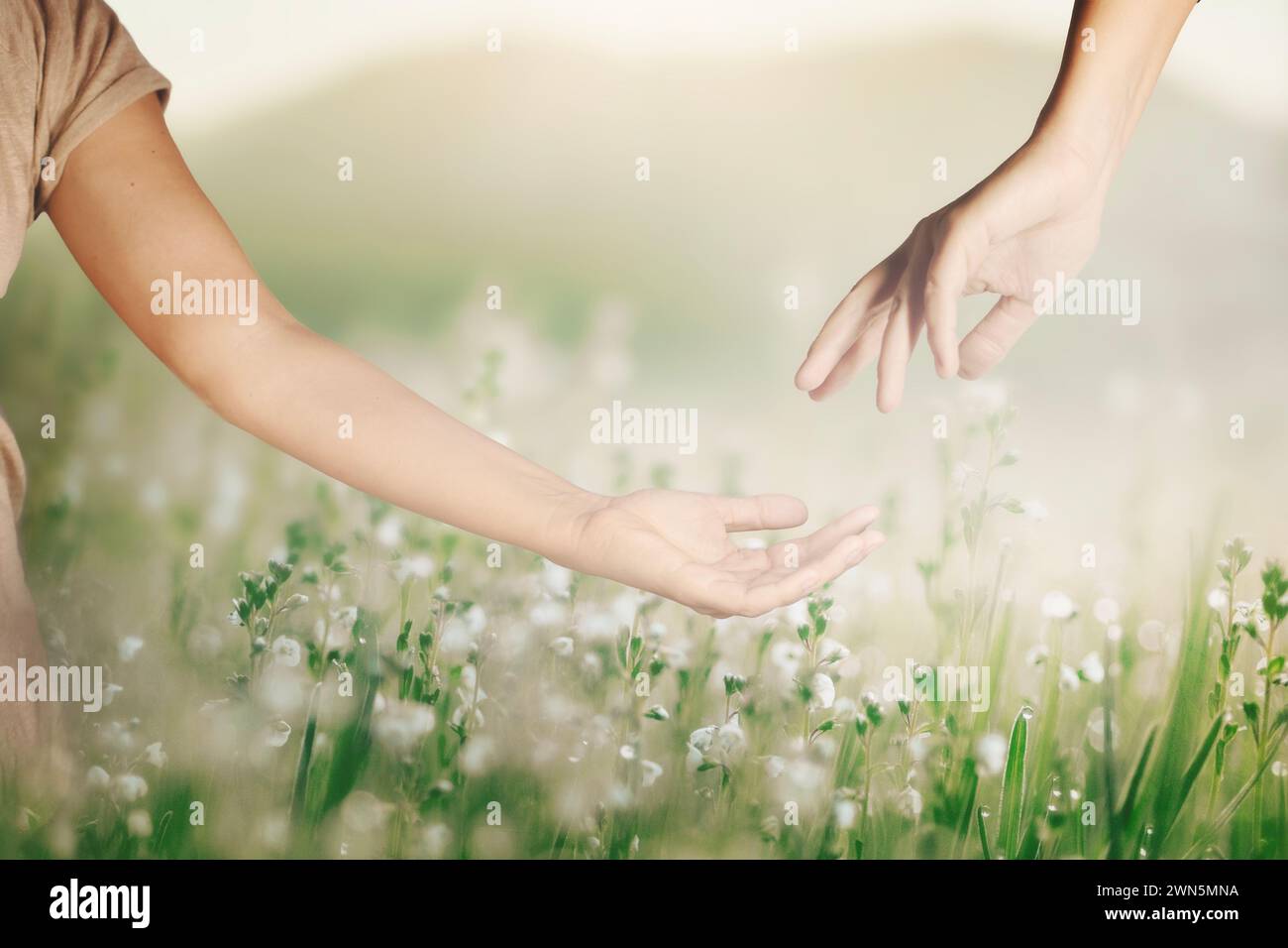Hands supporting a mind hi-res stock photography and images - Alamy