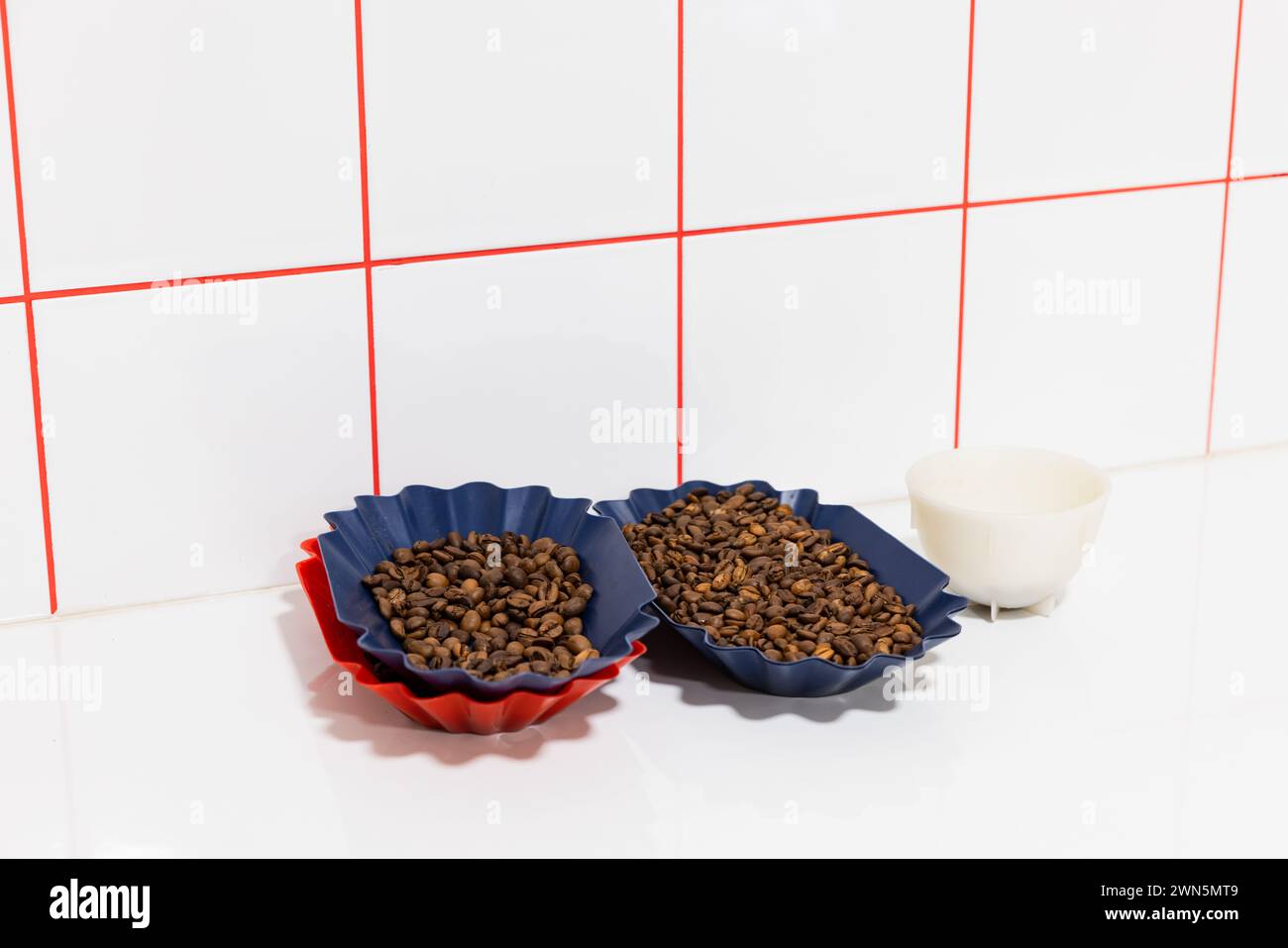 Samples of roasted arabica coffee are in plastic trays on a white desk ...