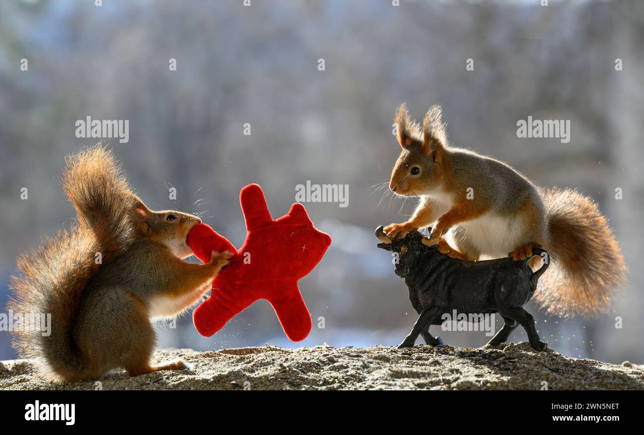 Capework hi-res stock photography and images - Alamy