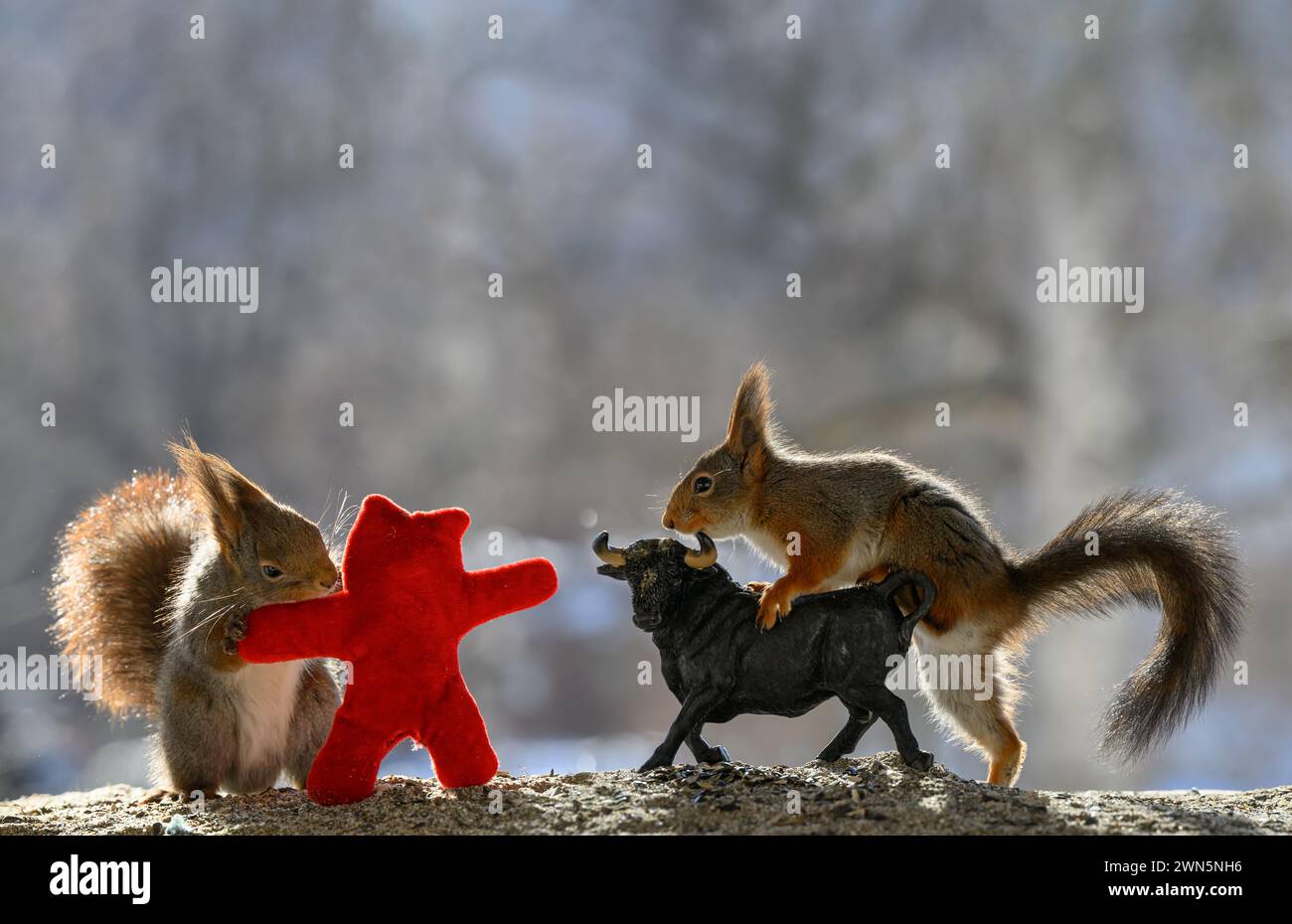 Capework hi-res stock photography and images - Alamy