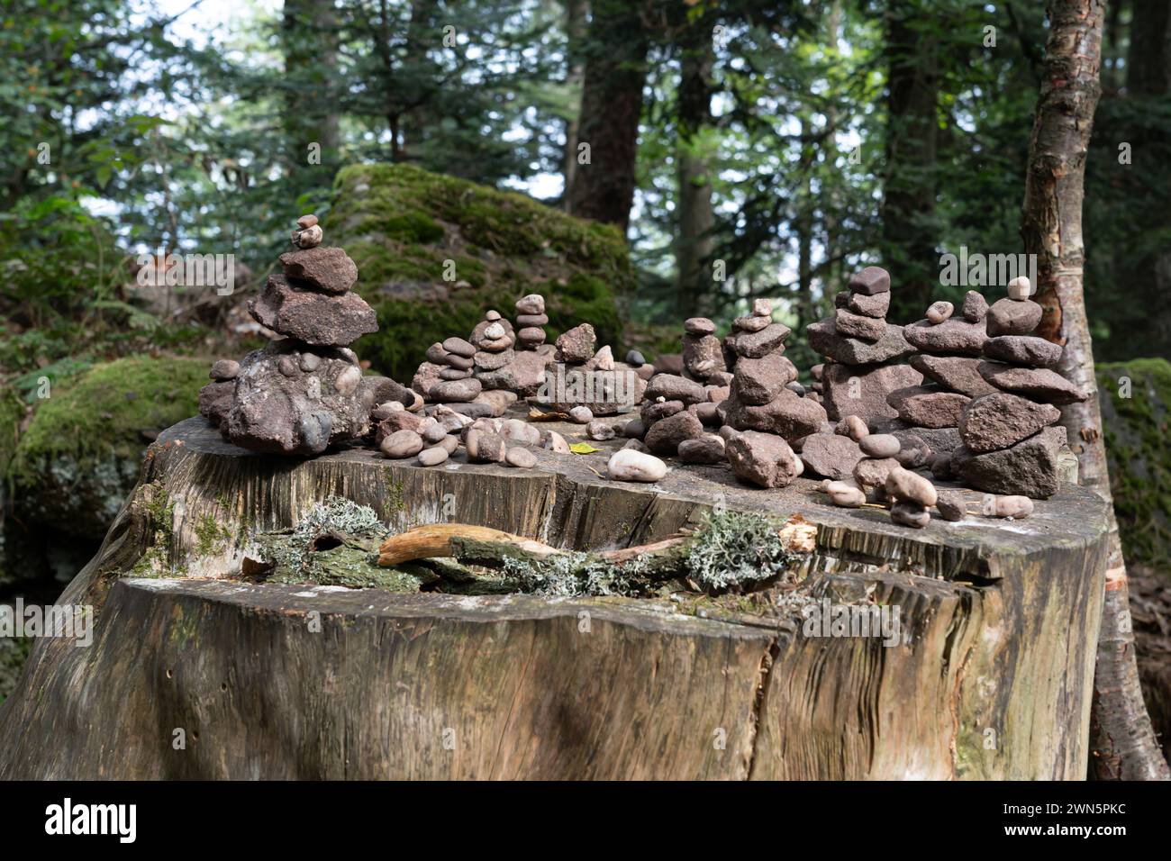 Path of the Gauls. View of a wooden stump with cairns on it Stock Photo ...