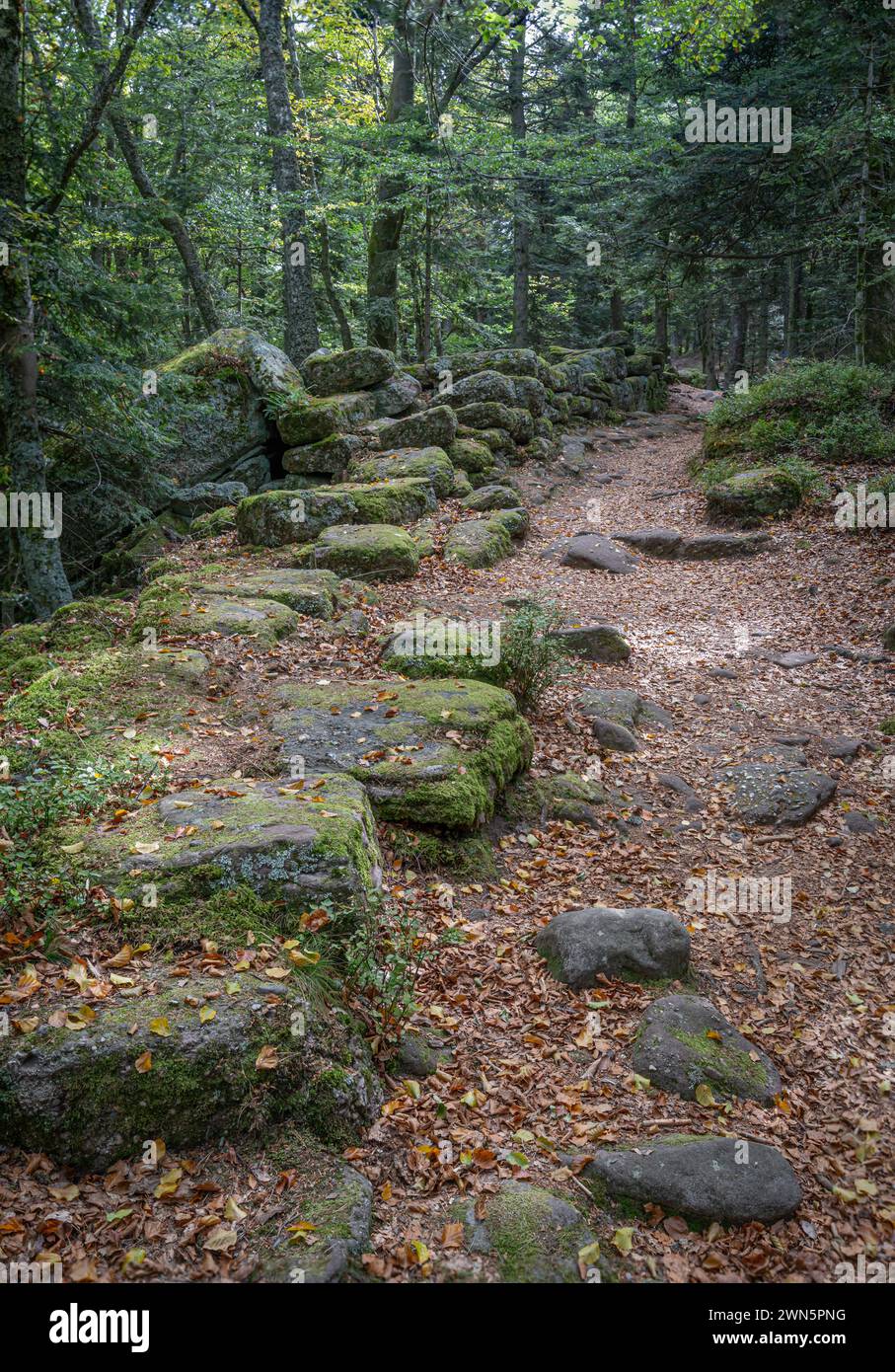 Path of the Gauls. View of rocks walls, stairs and trees Stock Photo ...