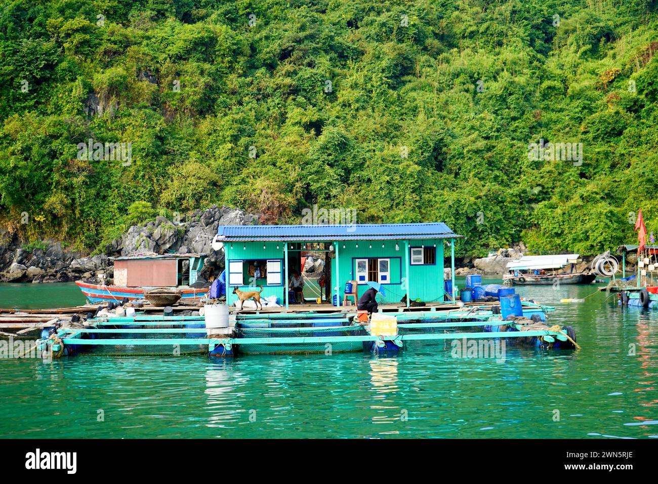 Famous floating villages of Halong Bay, Vietnam Stock Photo - Alamy
