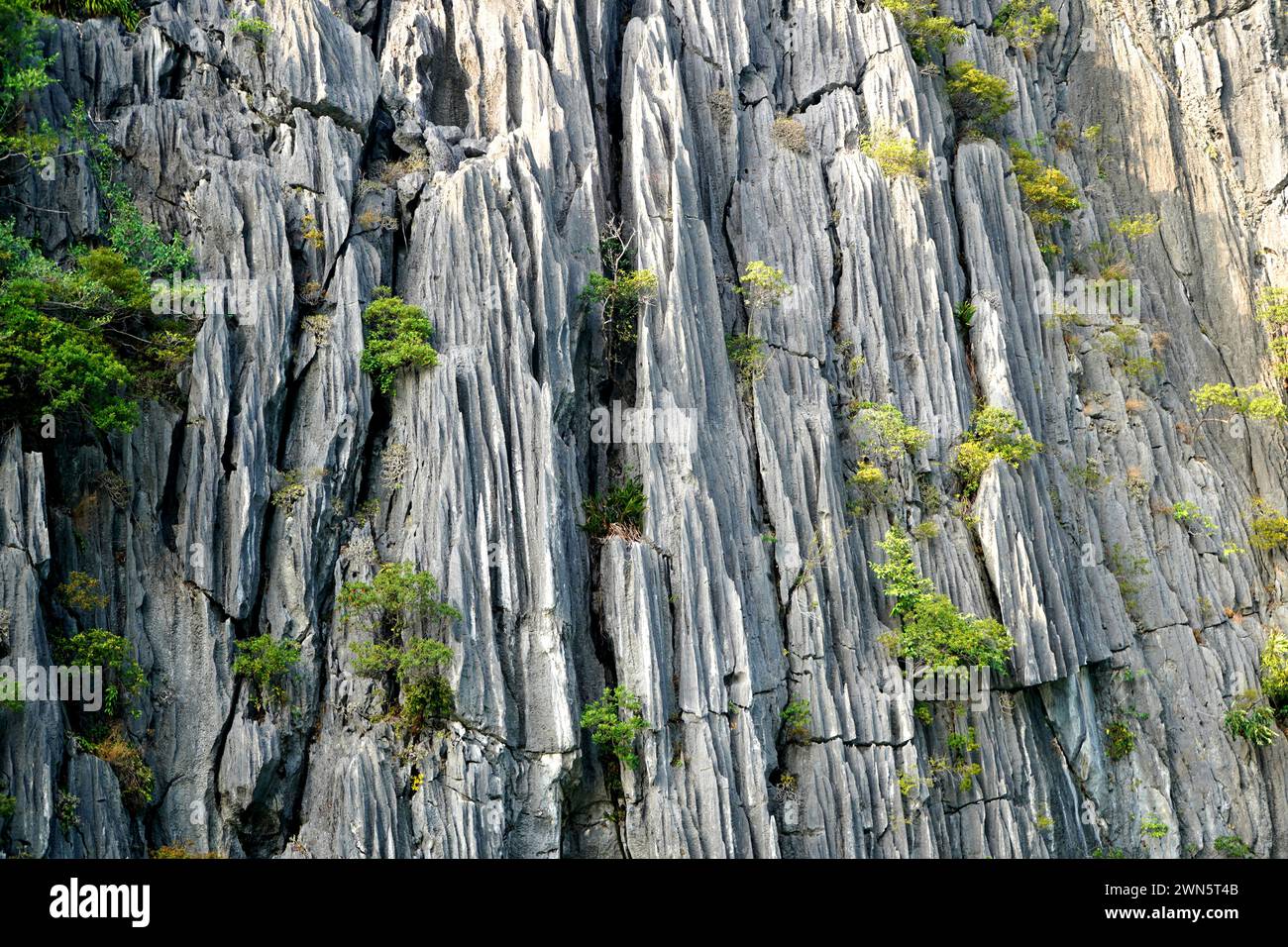 Close up detail of limestone karst cliffs Stock Photo - Alamy
