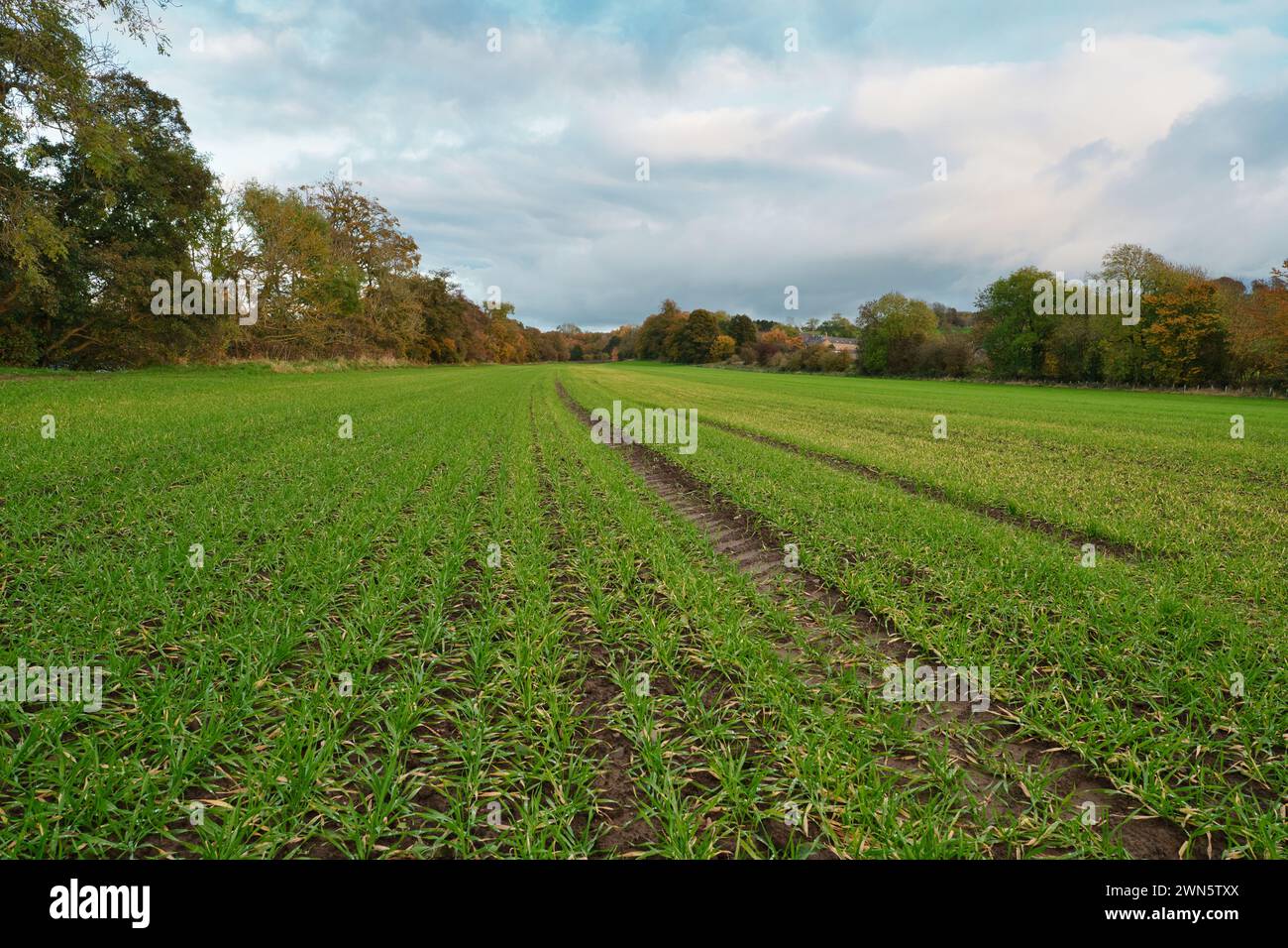 Crops in rotation hi-res stock photography and images - Alamy