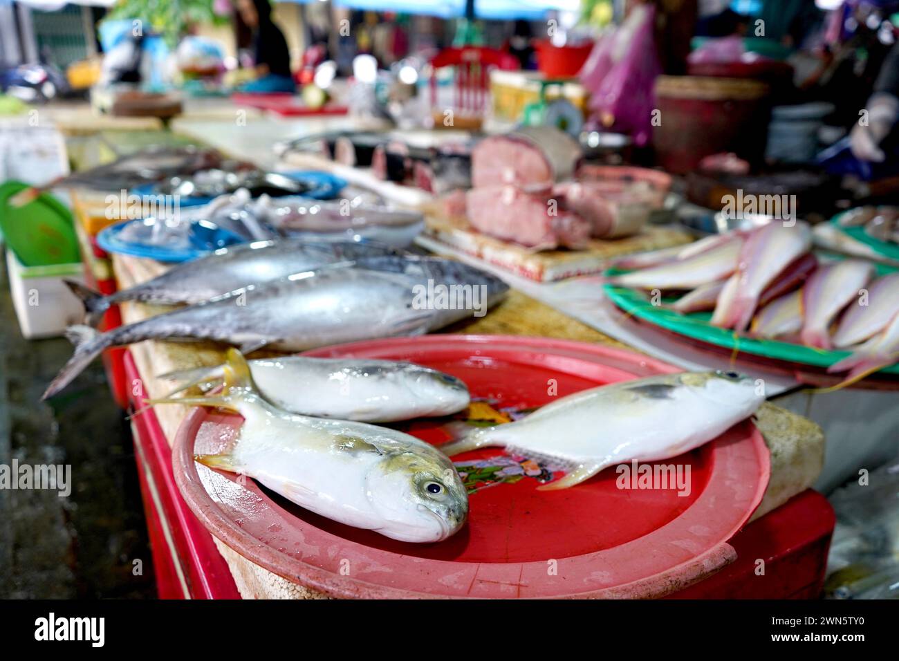 Market vietnam seller fish seafood hi-res stock photography and images ...