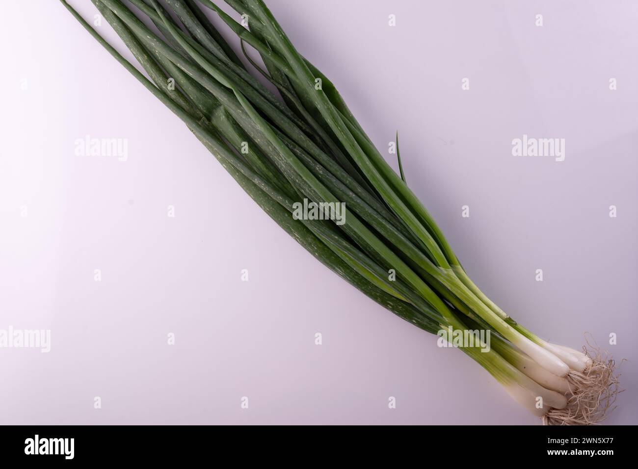 bunch of green onion stems on white background Stock Photo - Alamy