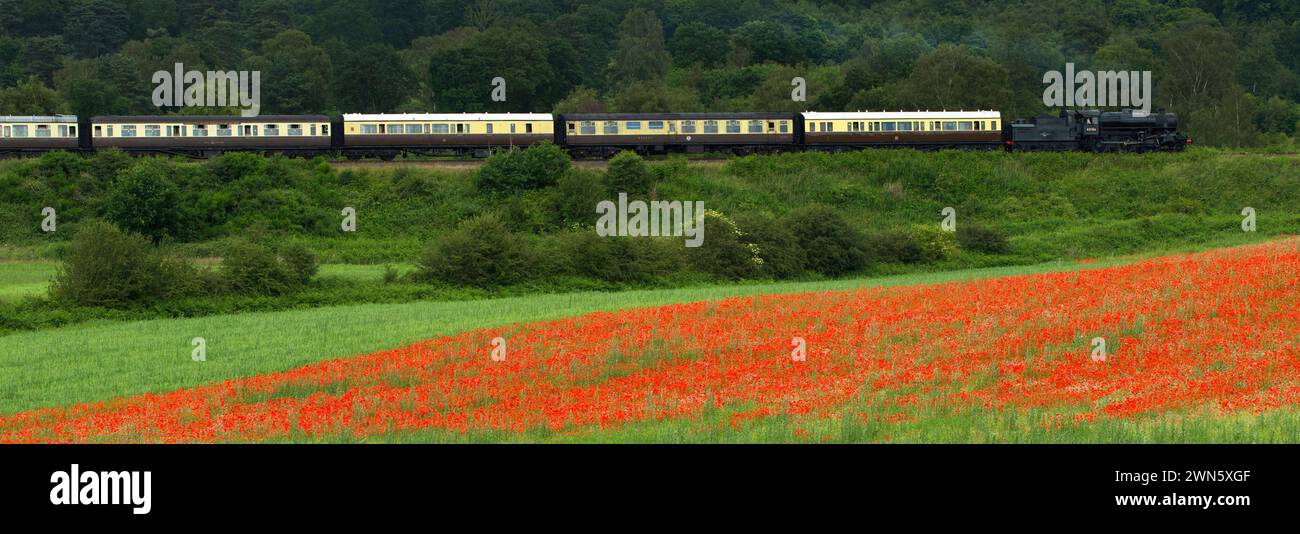 22/06/14 In a true picture of a glorious British summer a steam train ...