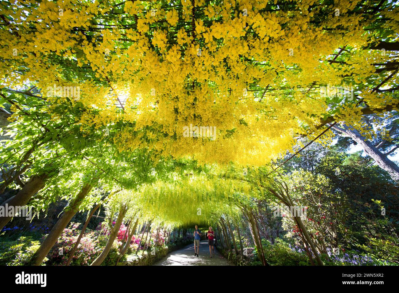 16/05/19 Chris and Val Merrick admire the Laburnum Arch. Mild weather ...