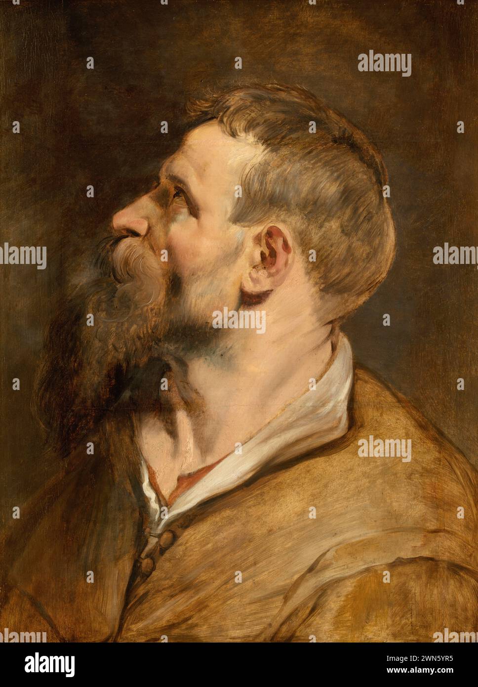 Study of a man in profile hi-res stock photography and images - Alamy