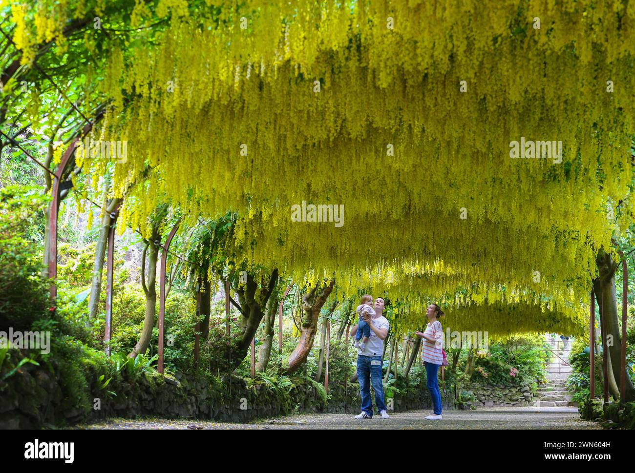 05/06/14 Isla Scrase with her parents James and Samantha. Visitors ...