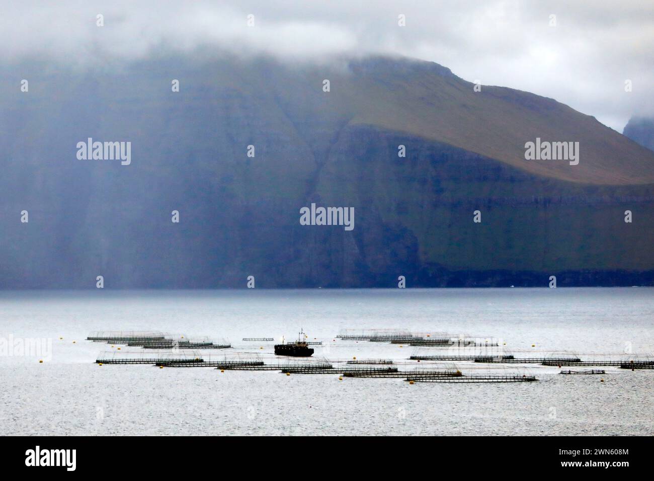 Salmon fish farm at the Faroe islands Stock Photo - Alamy