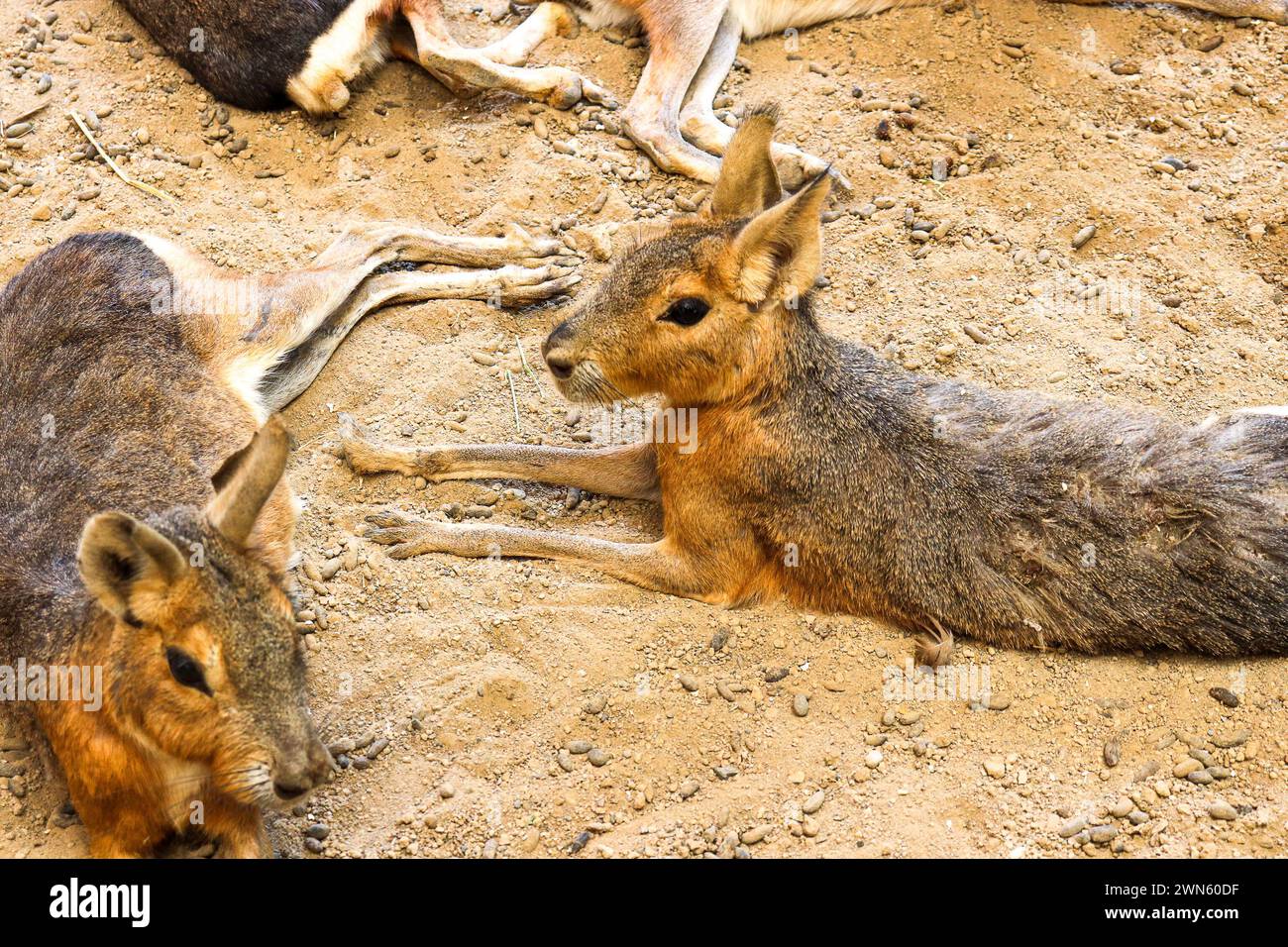 Group hd hi-res stock photography and images - Alamy