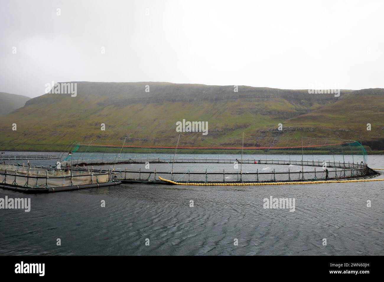 Salmon fish farm at the Faroe islands Stock Photo - Alamy