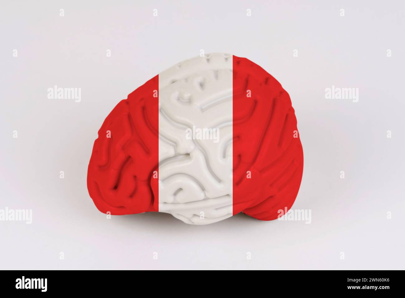 On a white background, a model of the brain with a picture of a flag ...