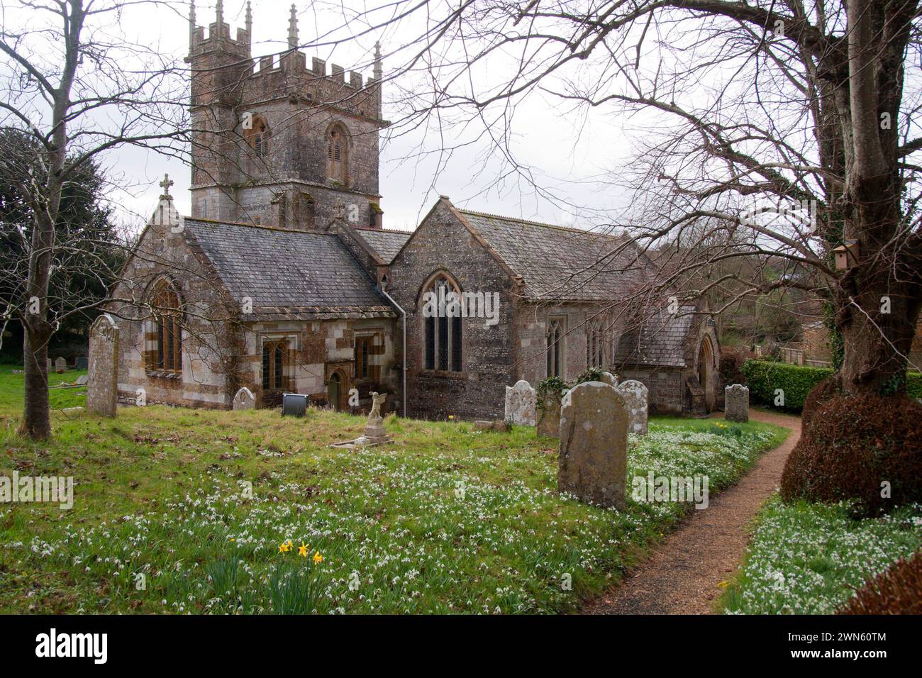 St Mary's church in winter snowdrops, Piddlehinton, nr Dorchester, West ...