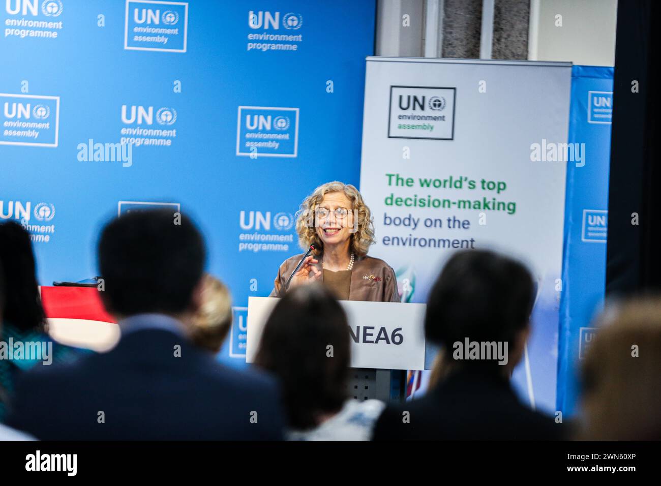 Nairobi, Nairobi, Kenya. 29th Feb, 2024. Executive Director of the ...