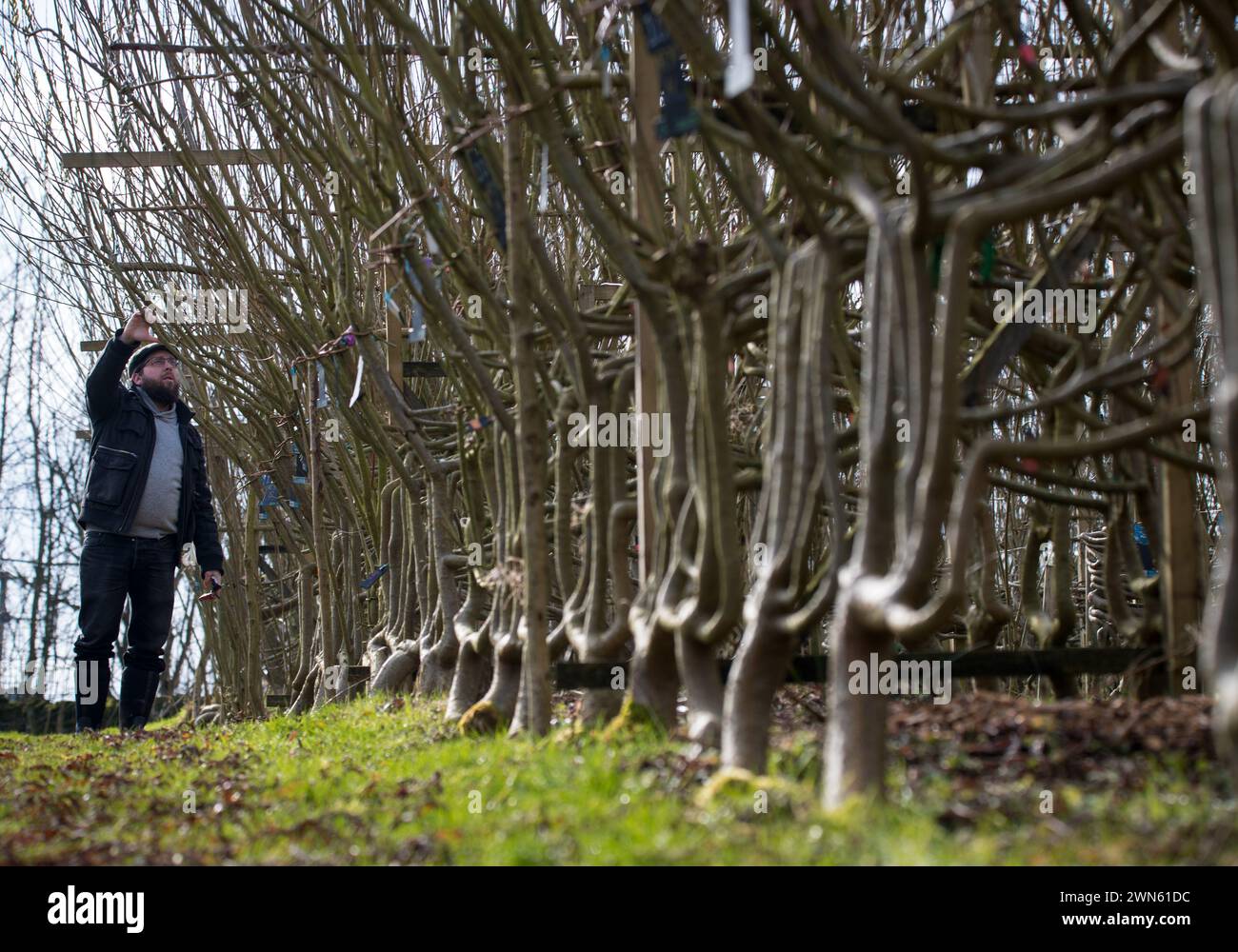 Gavin munro hi-res stock photography and images - Alamy