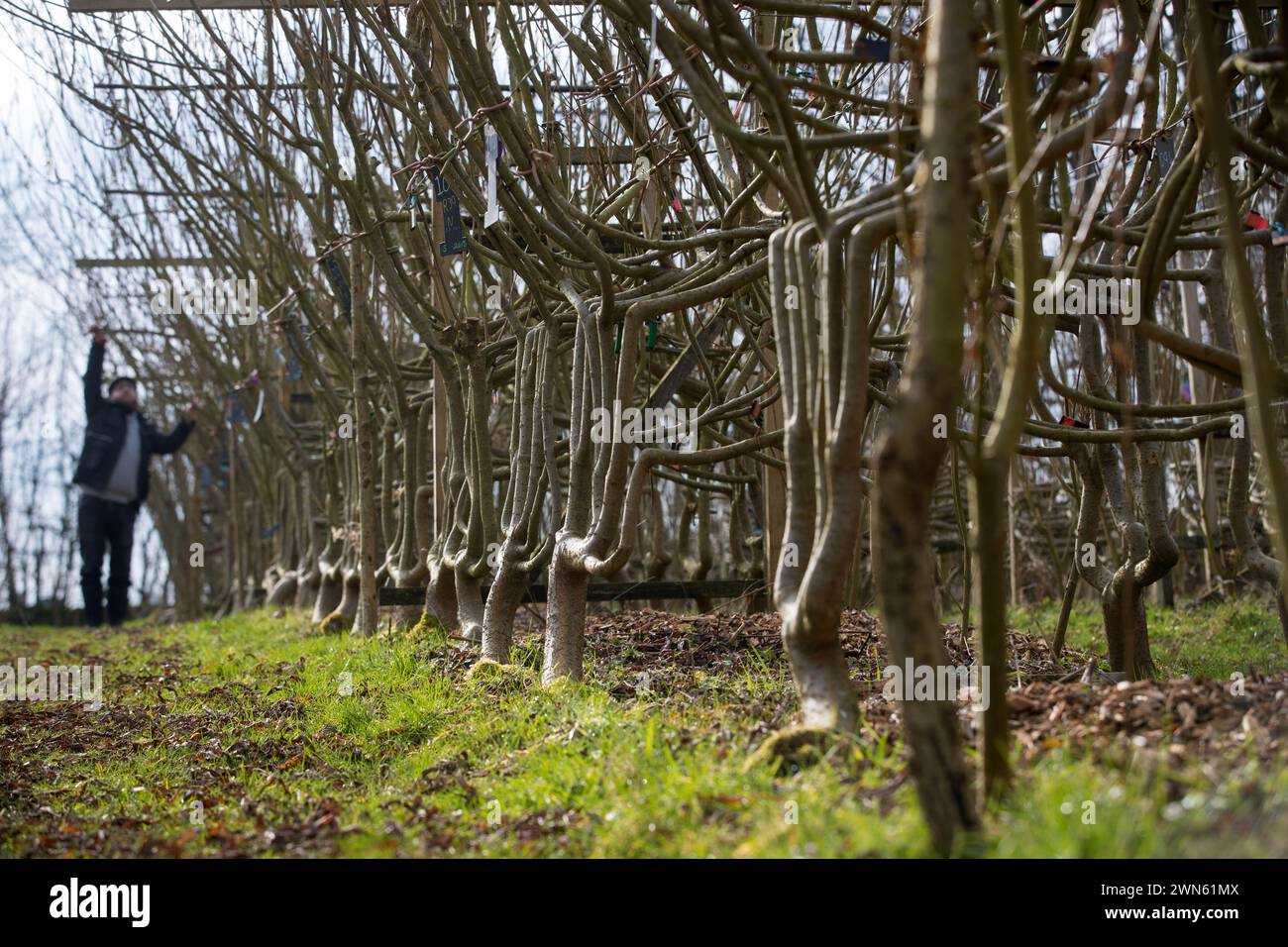 Gavin munro hi-res stock photography and images - Alamy