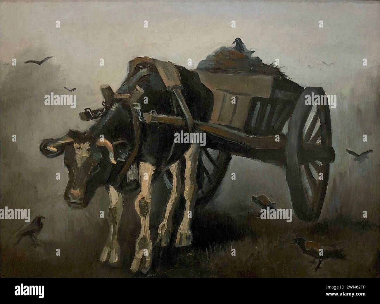 Van Gogh Vincent - Cart with Black Ox (1884 Stock Photo - Alamy