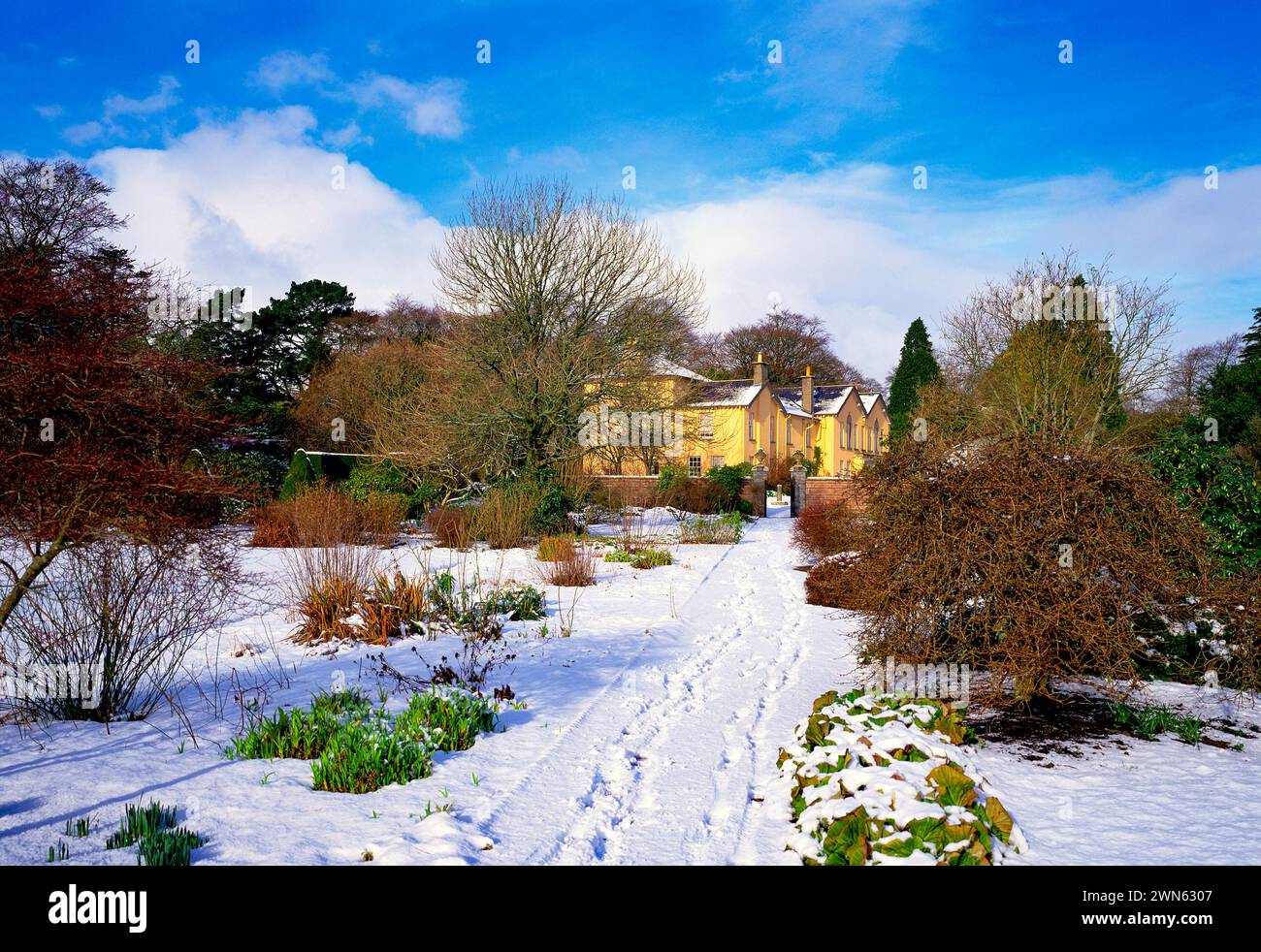 National Trust Northern Ireland HQ a snow covered Rowallene, Saintfield ...