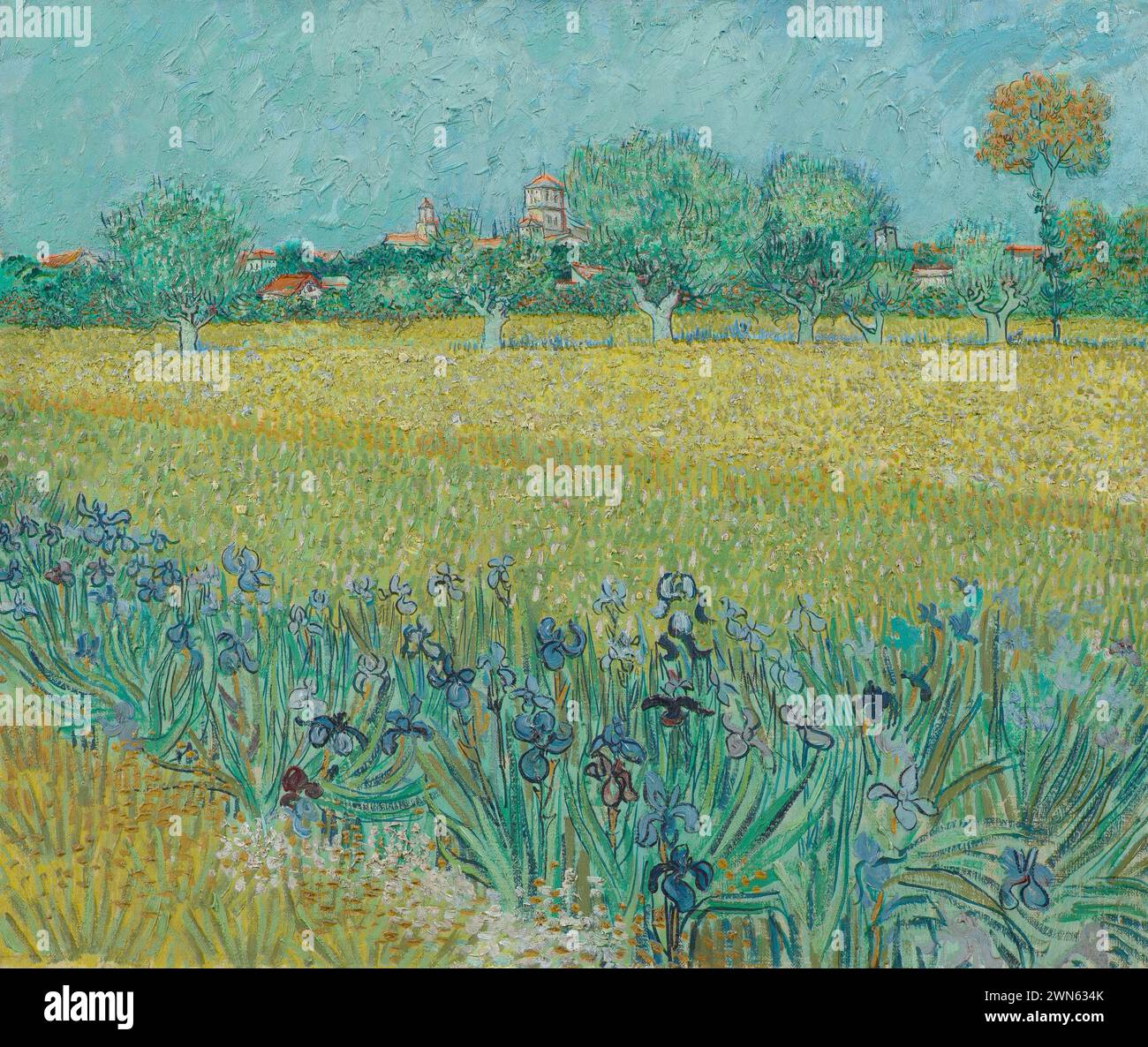 Van gogh field with irises near arles hi-res stock photography and ...