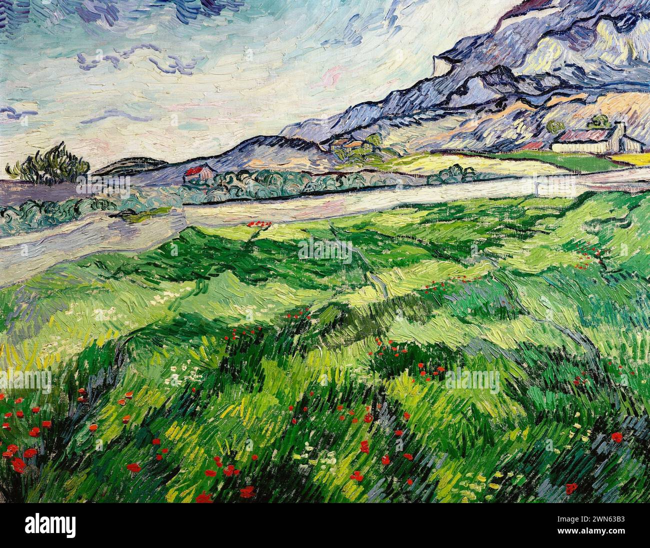 Green wheat field van gogh hi-res stock photography and images - Alamy