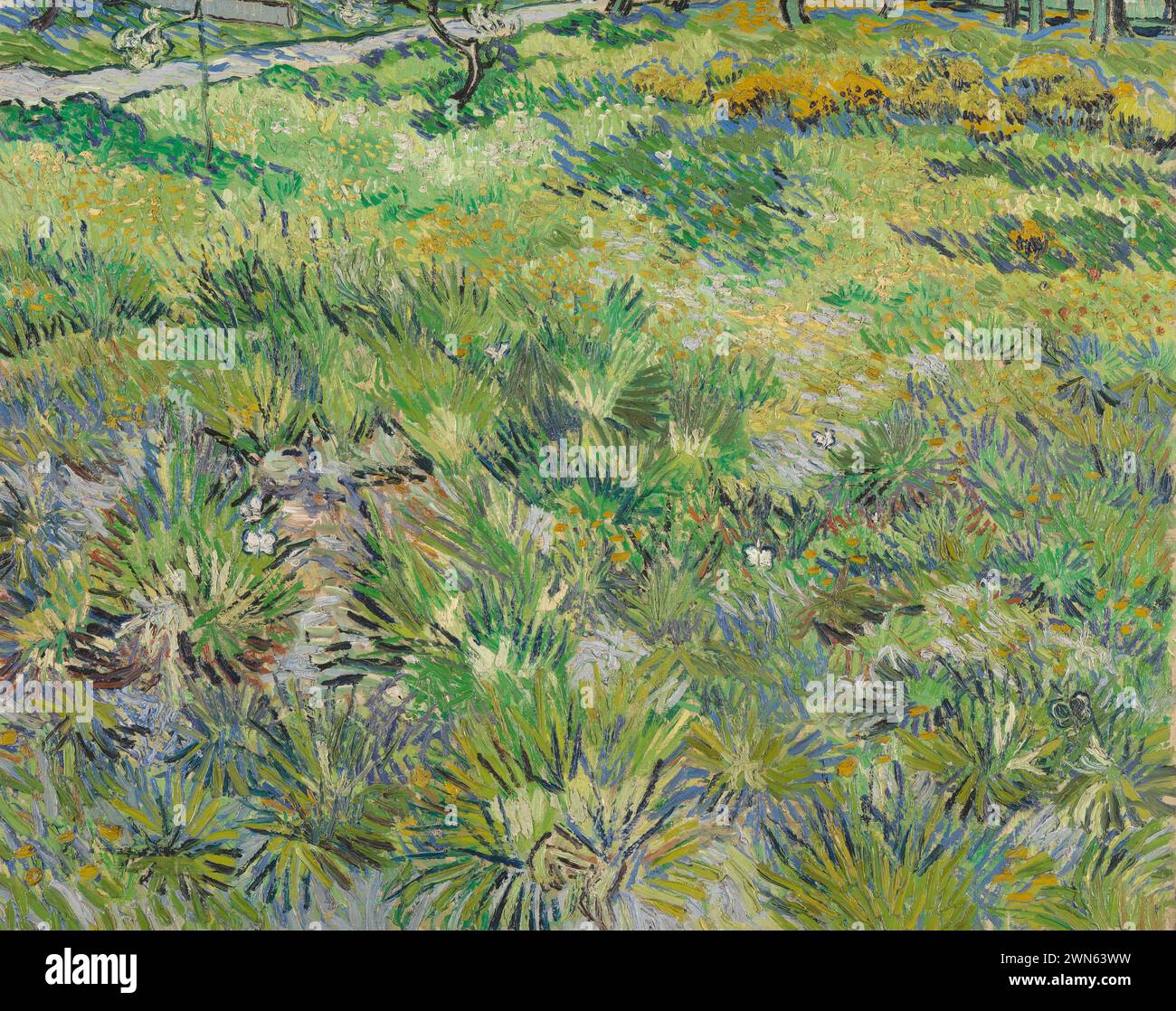 Van Gogh Vincent - Long Grass with Butterflies (1890 Stock Photo - Alamy
