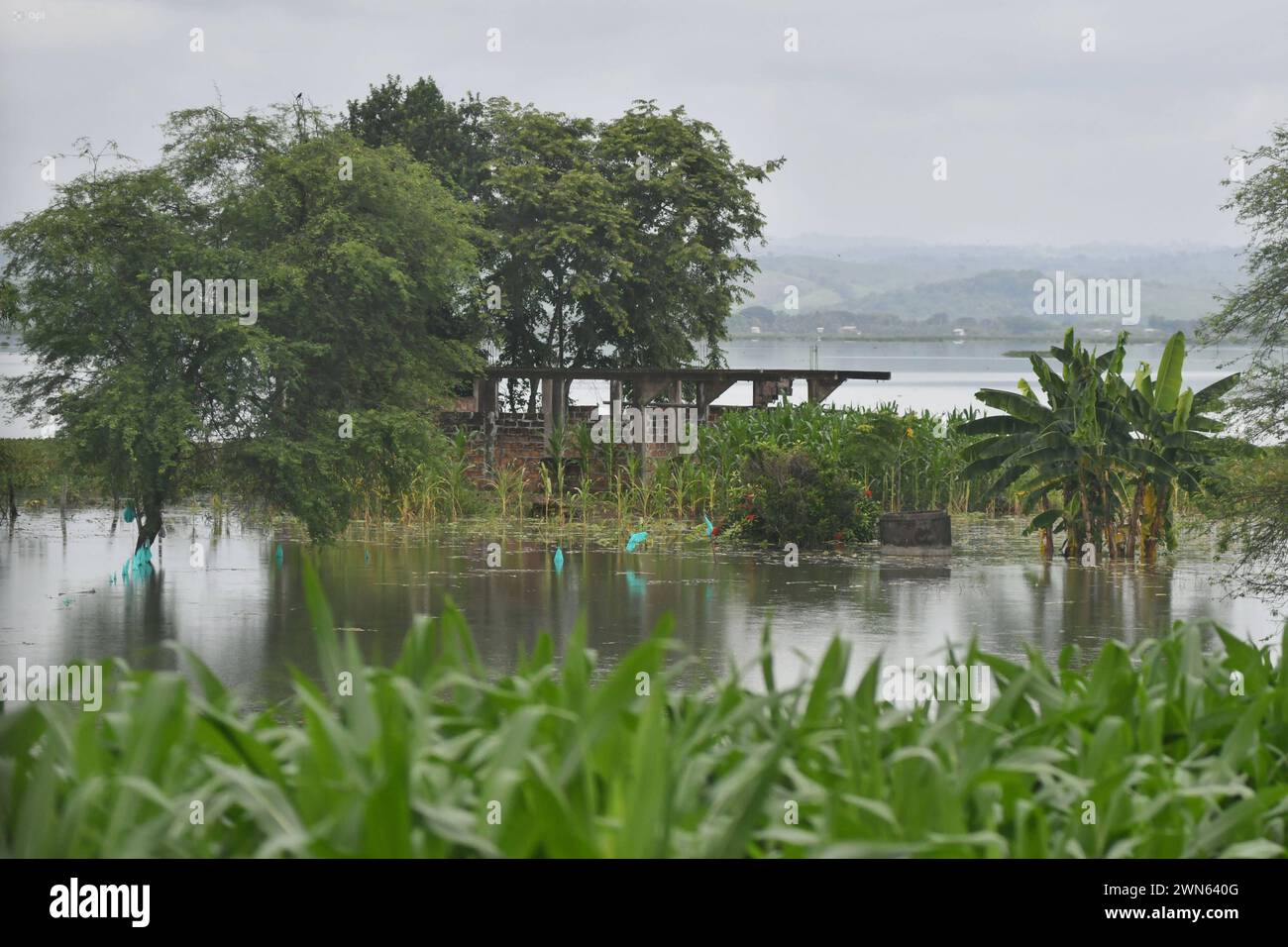 CHONE-INUNDACIONES-LLUVIAS Chone, 29 de febrero del 2024. Inundaciones ...