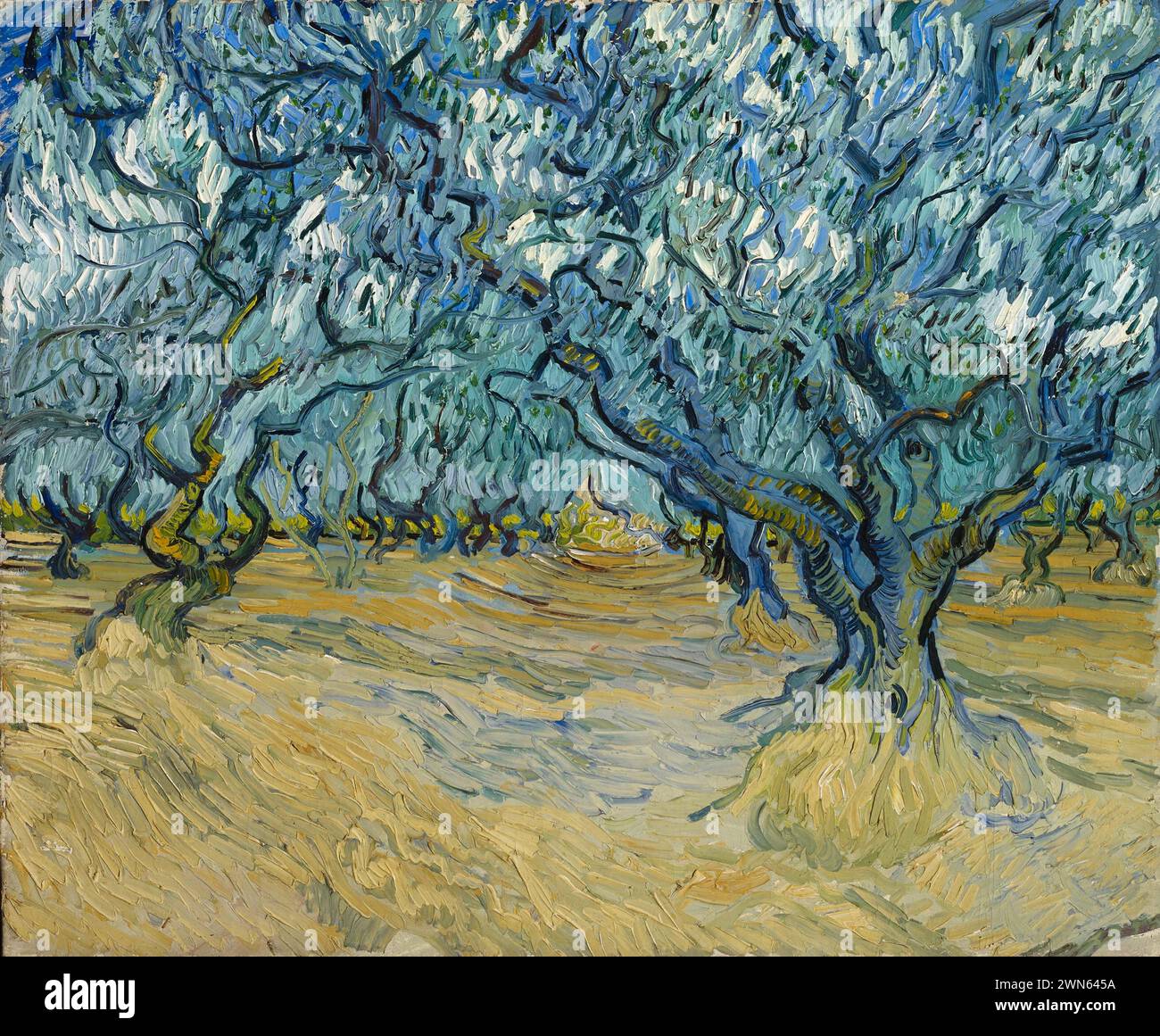 Van Gogh Vincent - Olive Trees (1889) 02 Stock Photo - Alamy