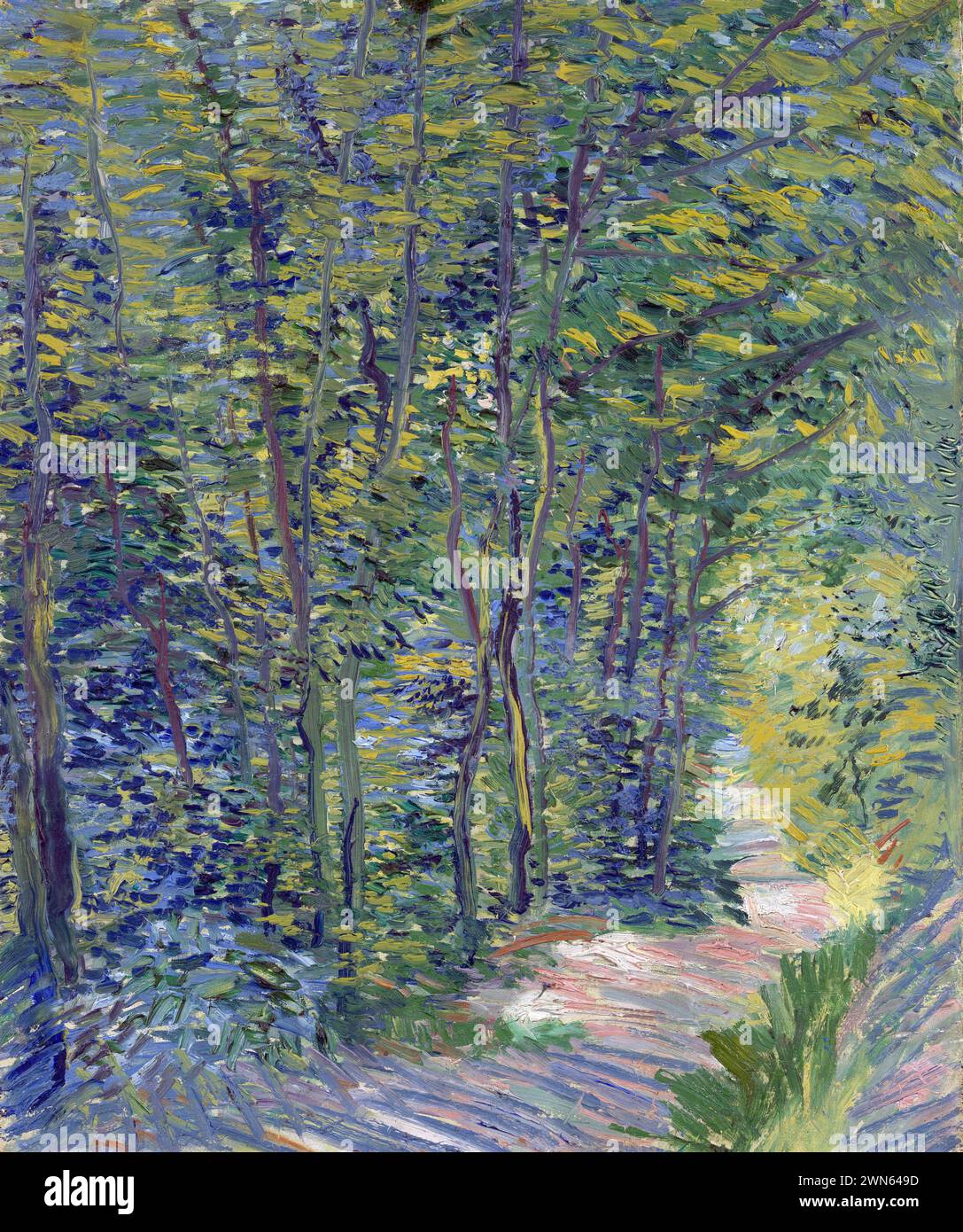 Vincent woods hi-res stock photography and images - Alamy