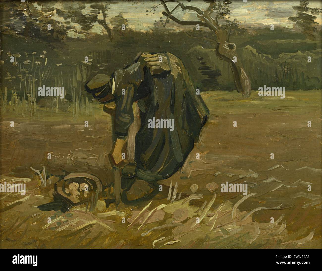 Van Gogh Vincent - Peasant Woman Digging Up Potatoes (1885 Stock Photo ...