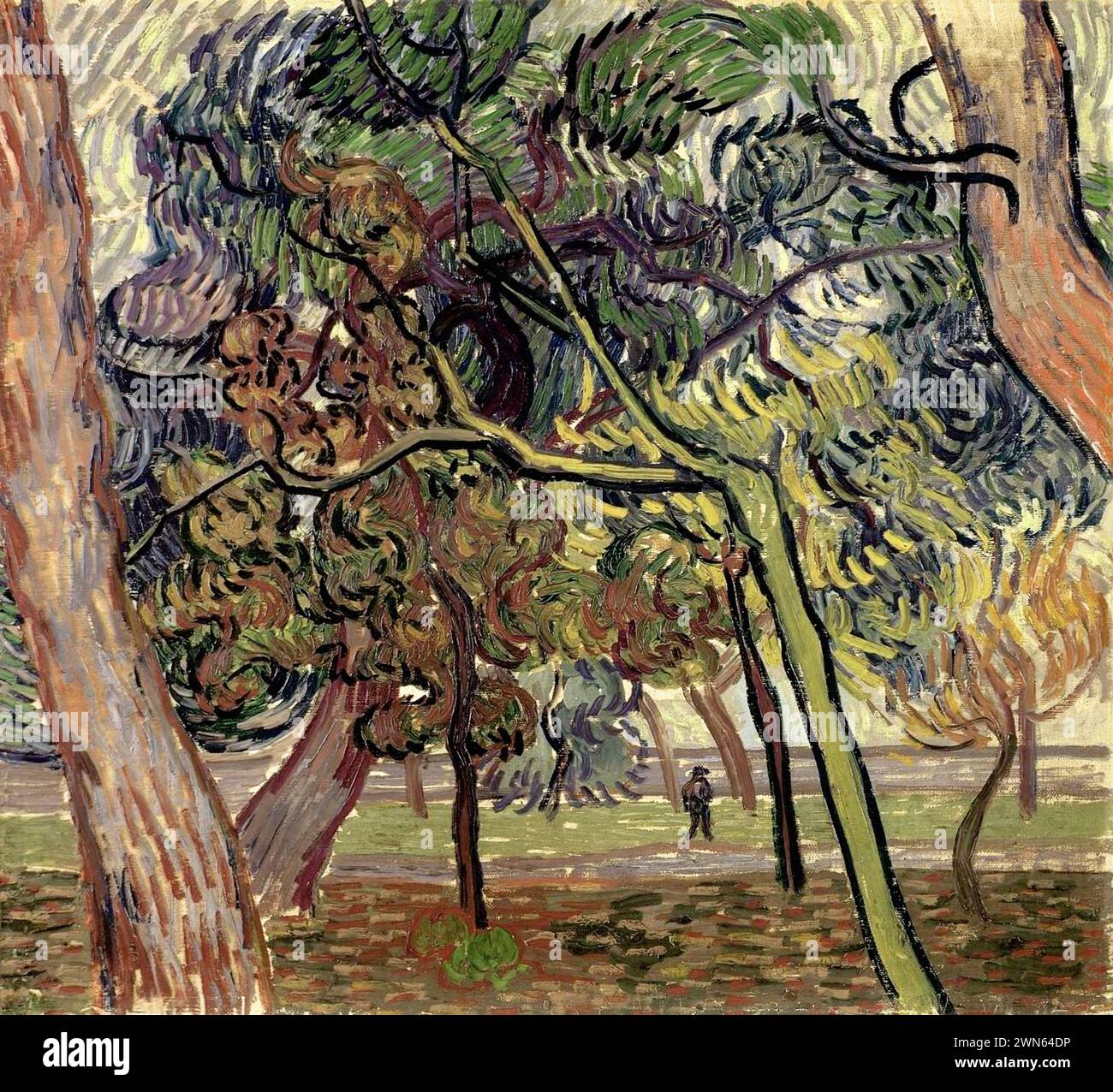 Van Gogh Vincent - Pine trees in the garden of the asylum (1889 Stock ...