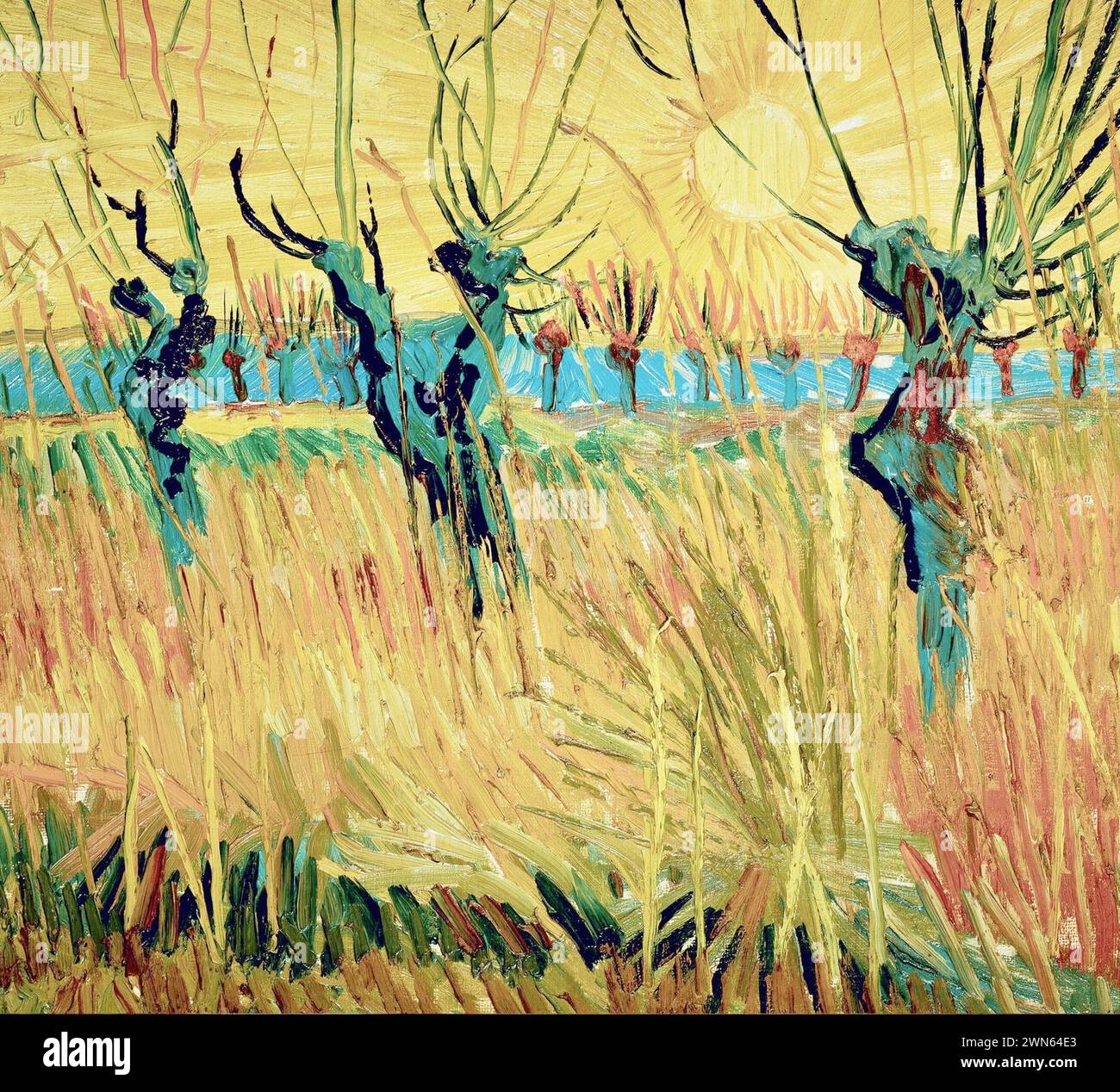 Pollard willows van gogh hi-res stock photography and images - Alamy