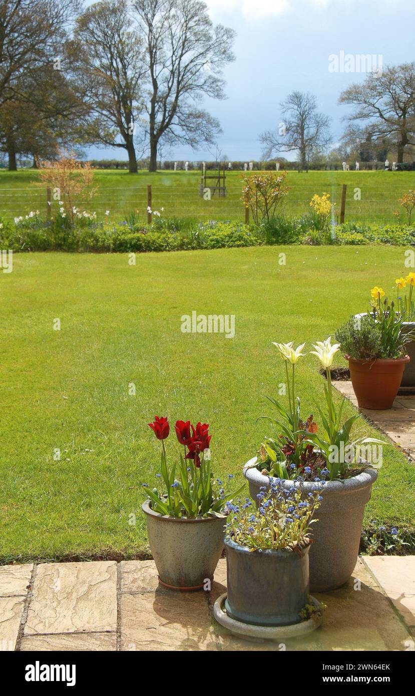 Spring flowers and the cricket season start hi-res stock photography ...