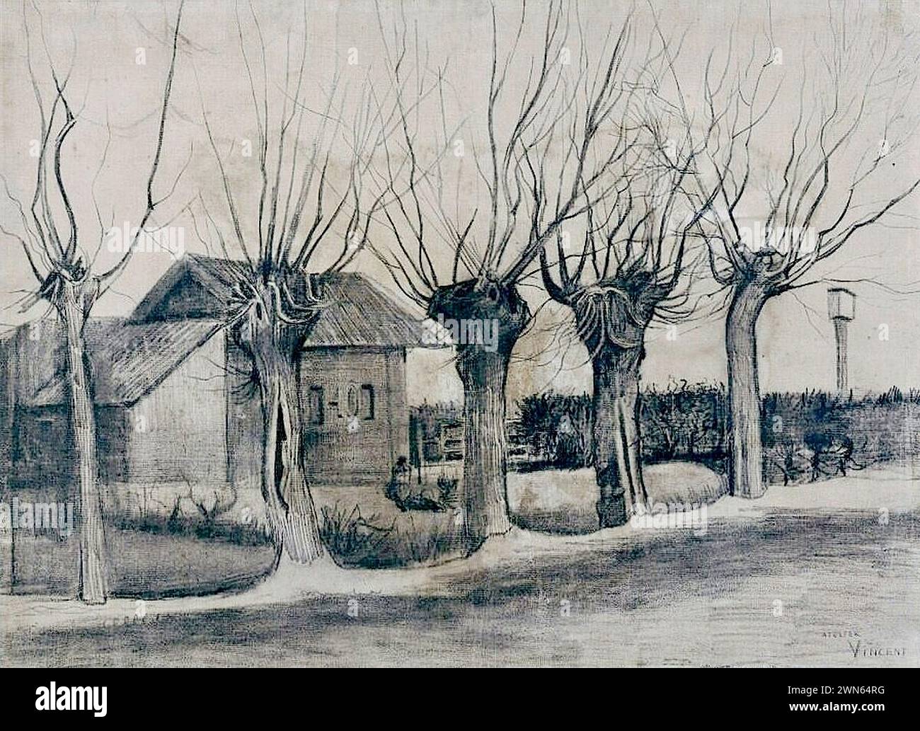 Pollard willows van gogh hi-res stock photography and images - Alamy