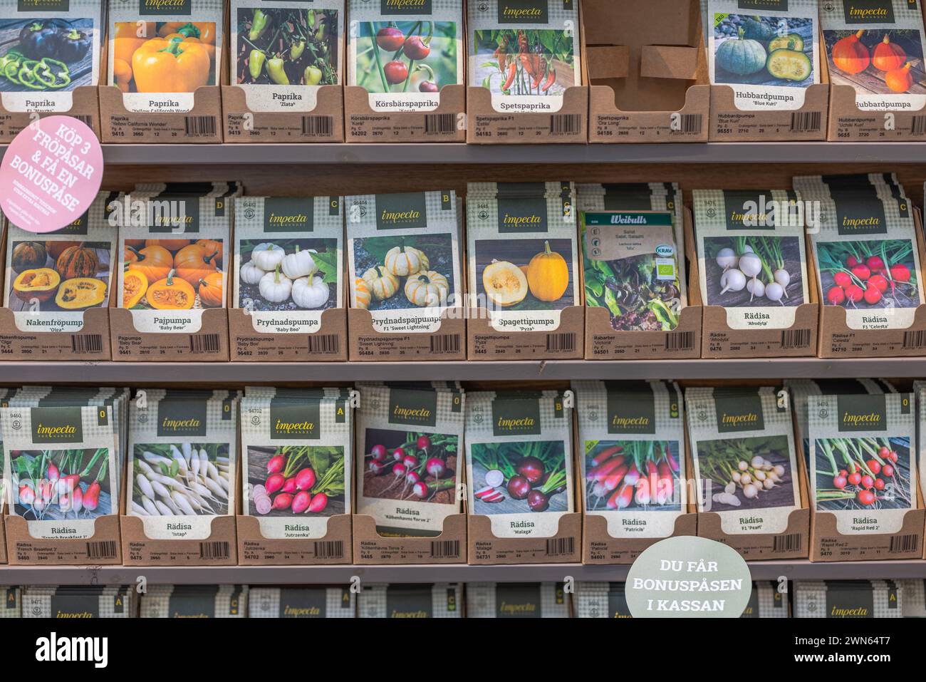Close-up view of shelves in a garden store with zucchini, radish, and ...