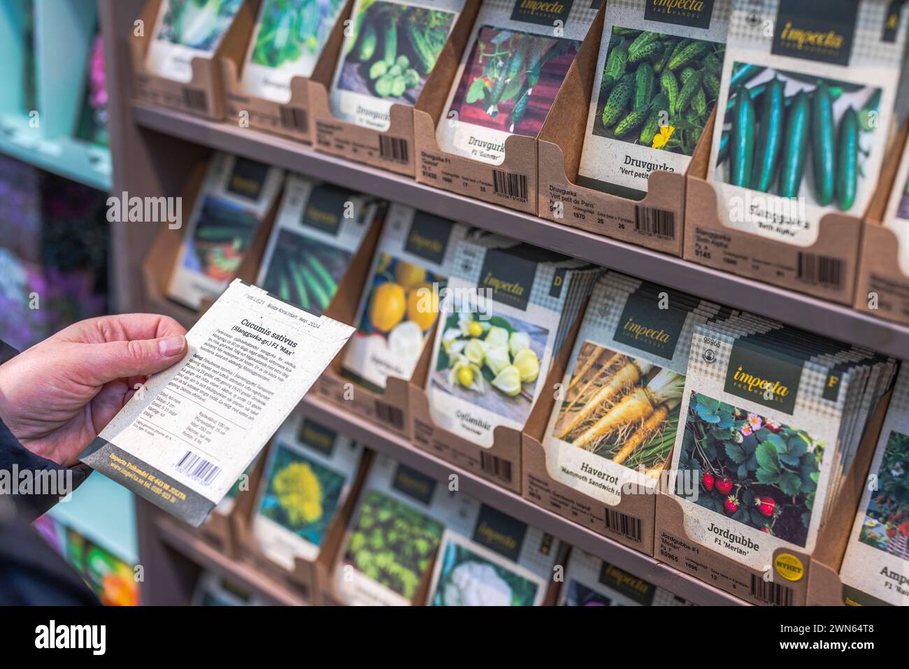 Close-up of a woman's hand reading planting instructions on a seed ...