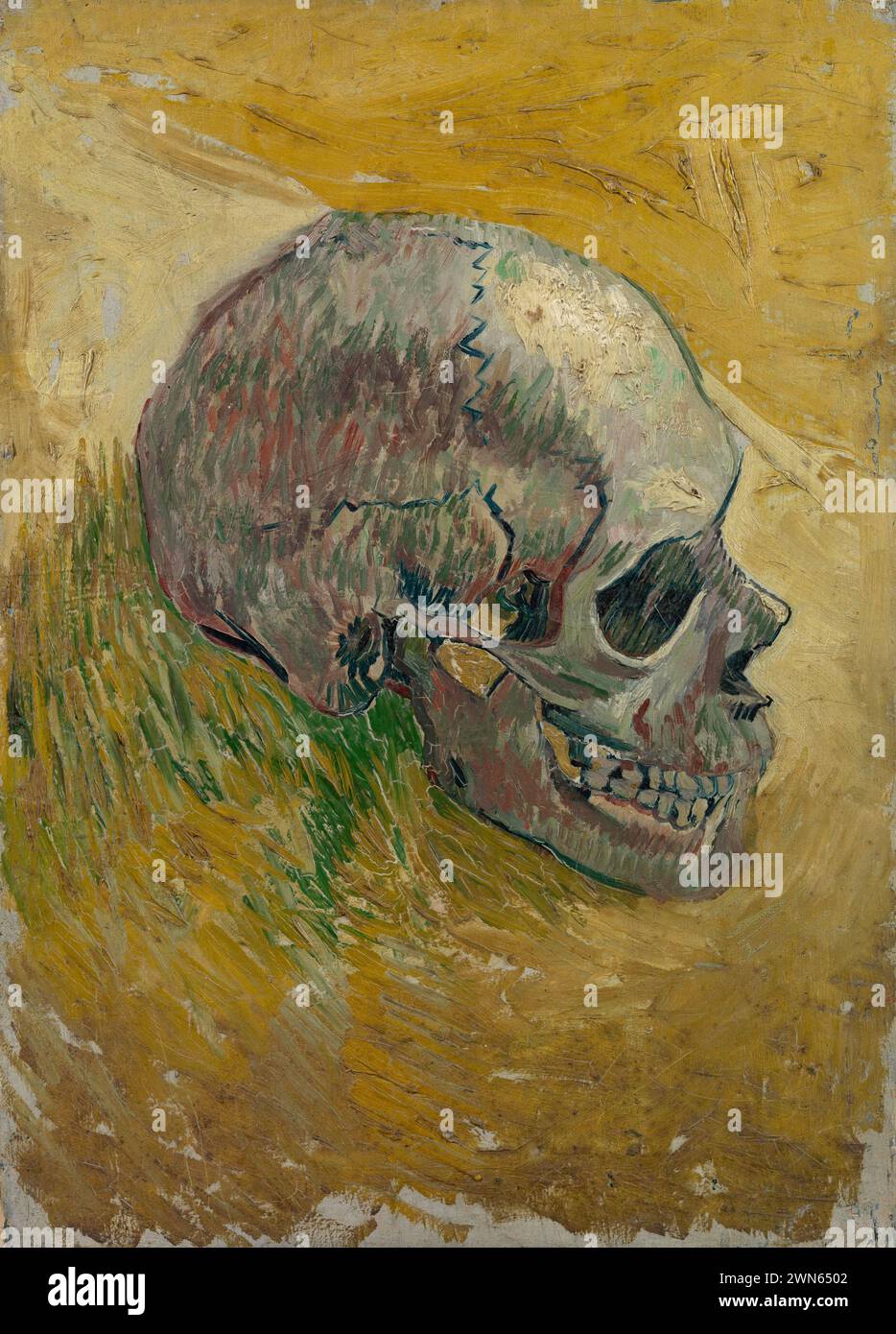 Van gogh skull hi-res stock photography and images - Alamy