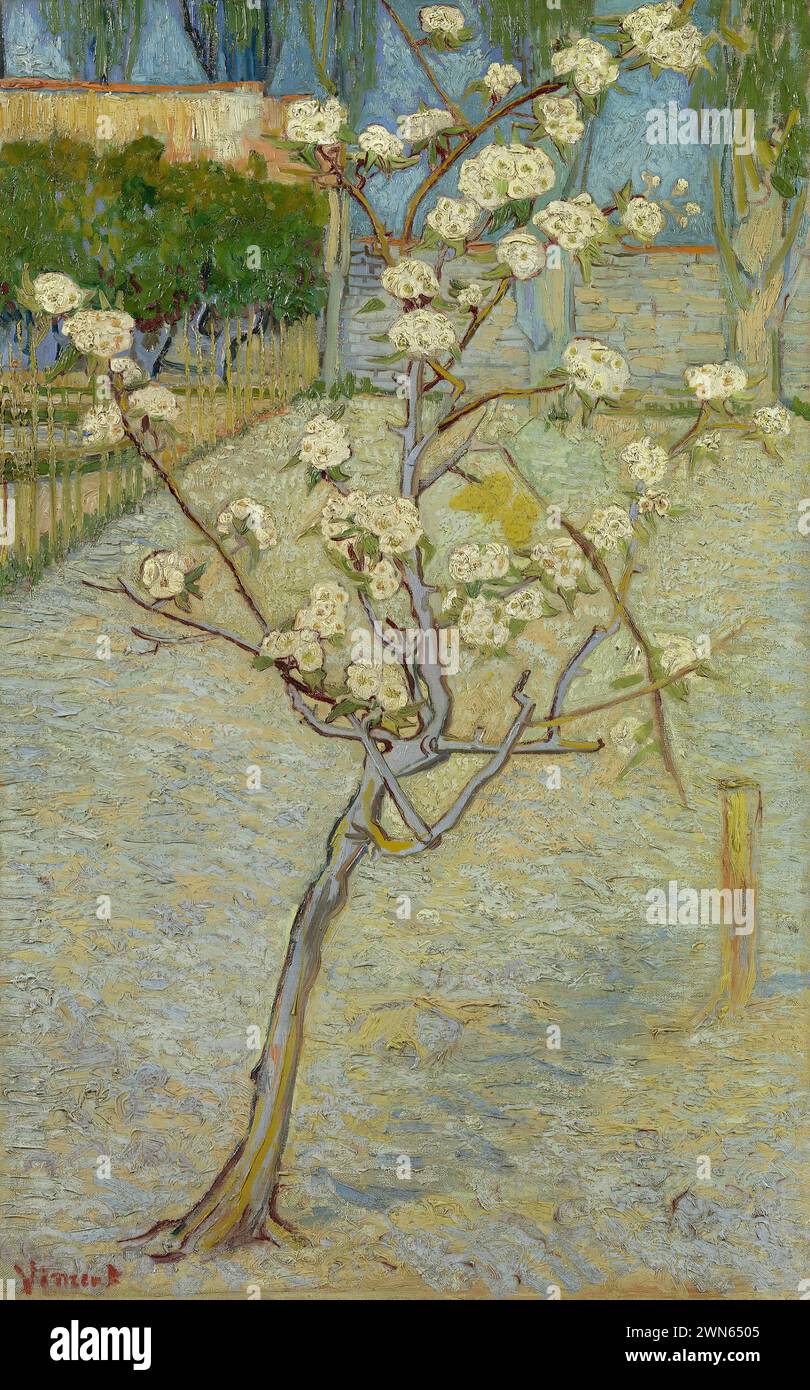 Pear tree in blossom 1888 art hi-res stock photography and images - Alamy