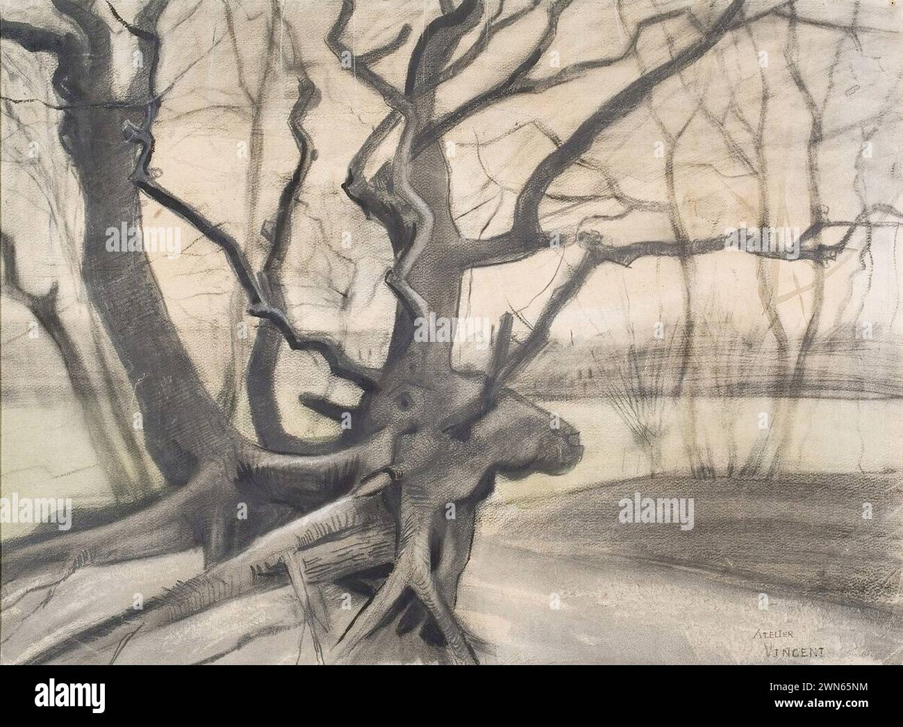 Vincent van gogh tree roots van hi-res stock photography and images - Alamy