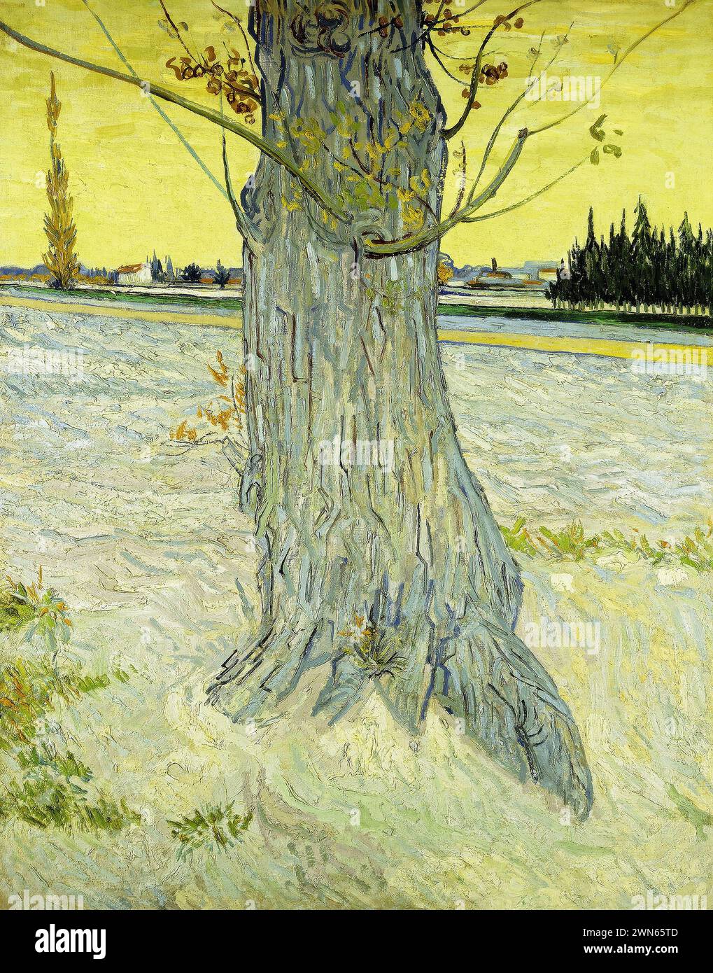 Van Gogh Vincent - Trunk of an Old Yew Tree (1888 Stock Photo - Alamy
