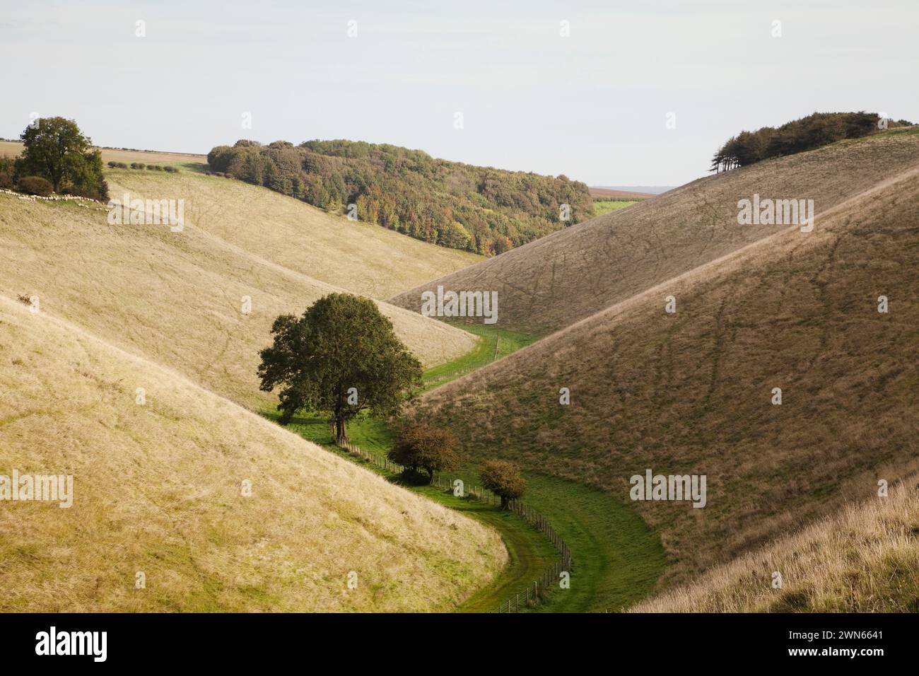Horse Dale near Huggate, in the Yorkshire Wolds, UK Stock Photo - Alamy
