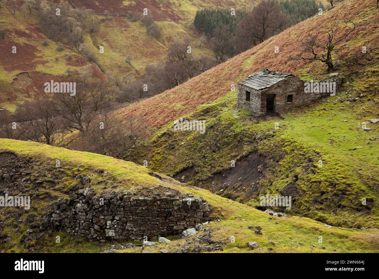 Old miner's hut in Arn Gill, in the upper reaches of Swaledale ...