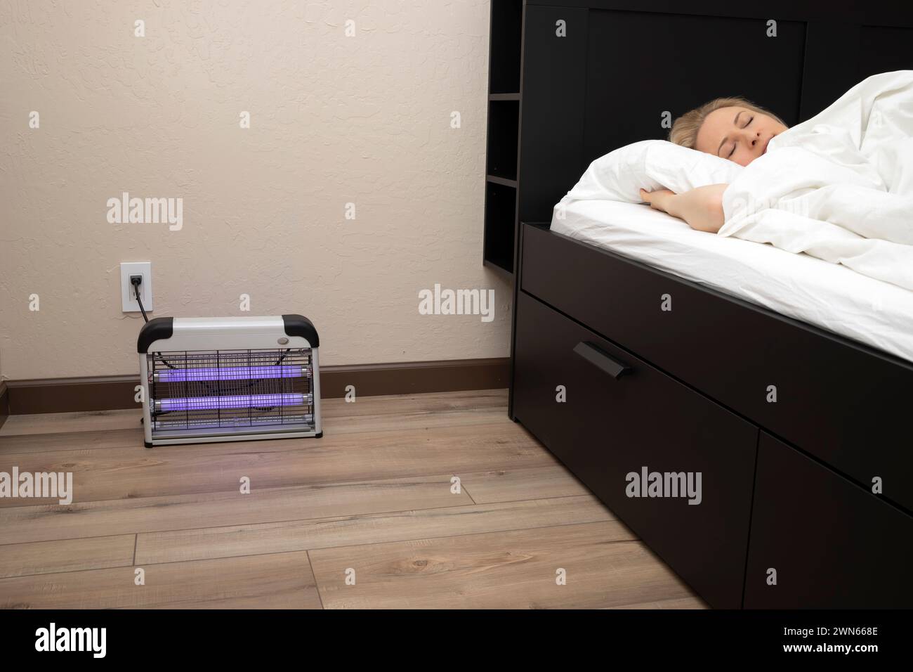 Electric Mosquito or Insect Zapper With Blue Purple Lights Turned on ...