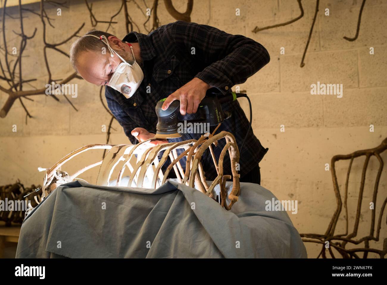 Full grown chair hi-res stock photography and images - Alamy