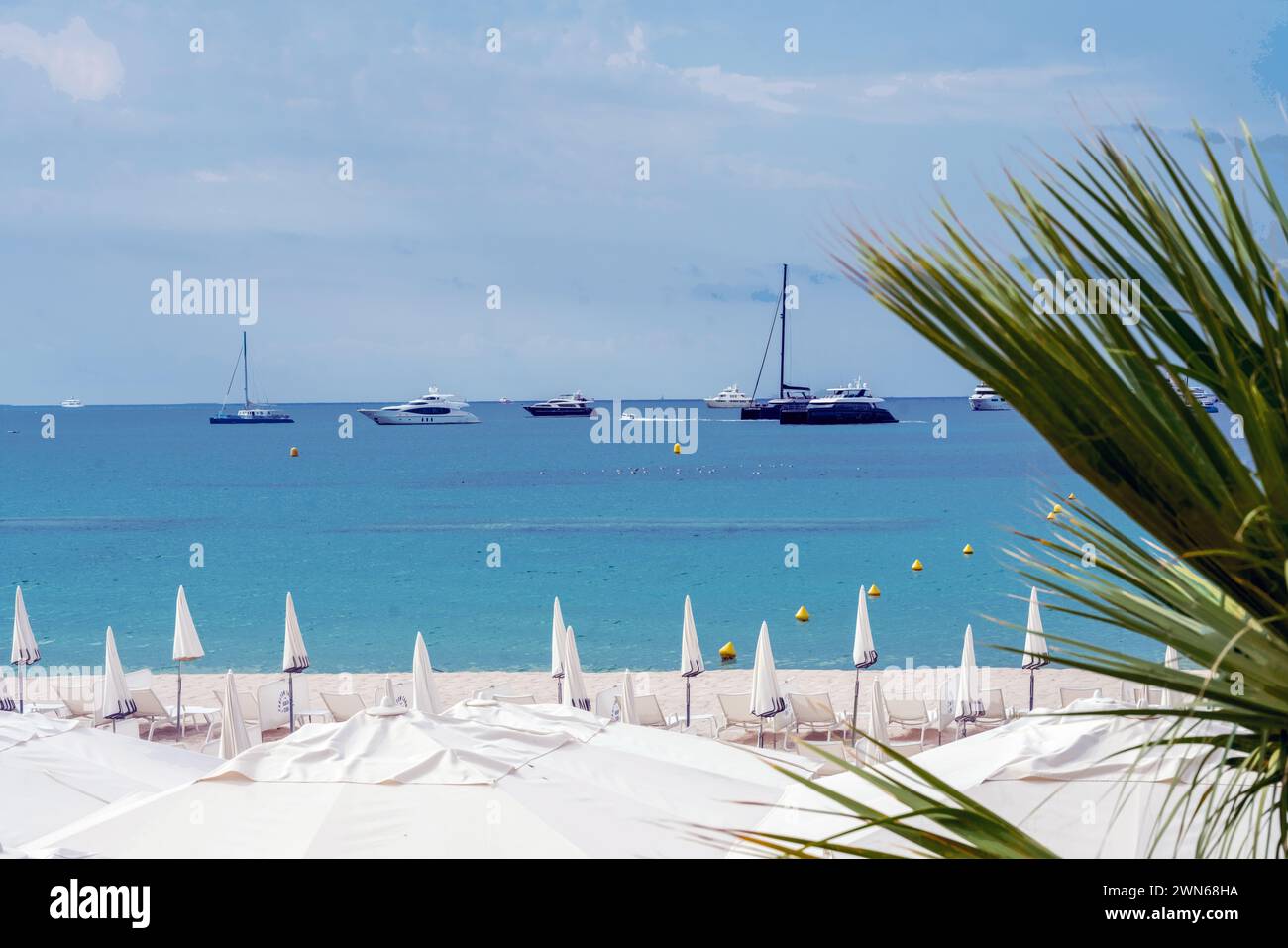 Seagulls on beach cannes hi-res stock photography and images - Alamy