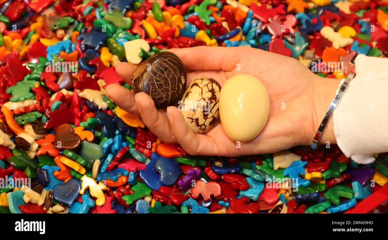 Ivory palm seed hi-res stock photography and images - Alamy