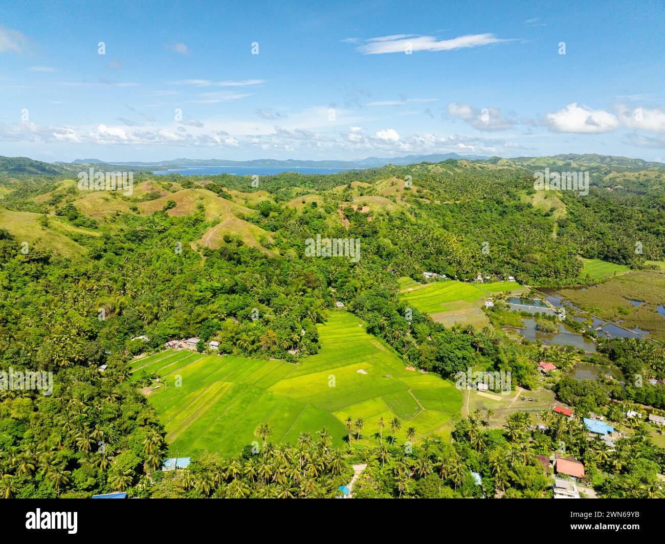 Paddy rice fields and farmlands in tropical island. Santa Fe, Tablas ...
