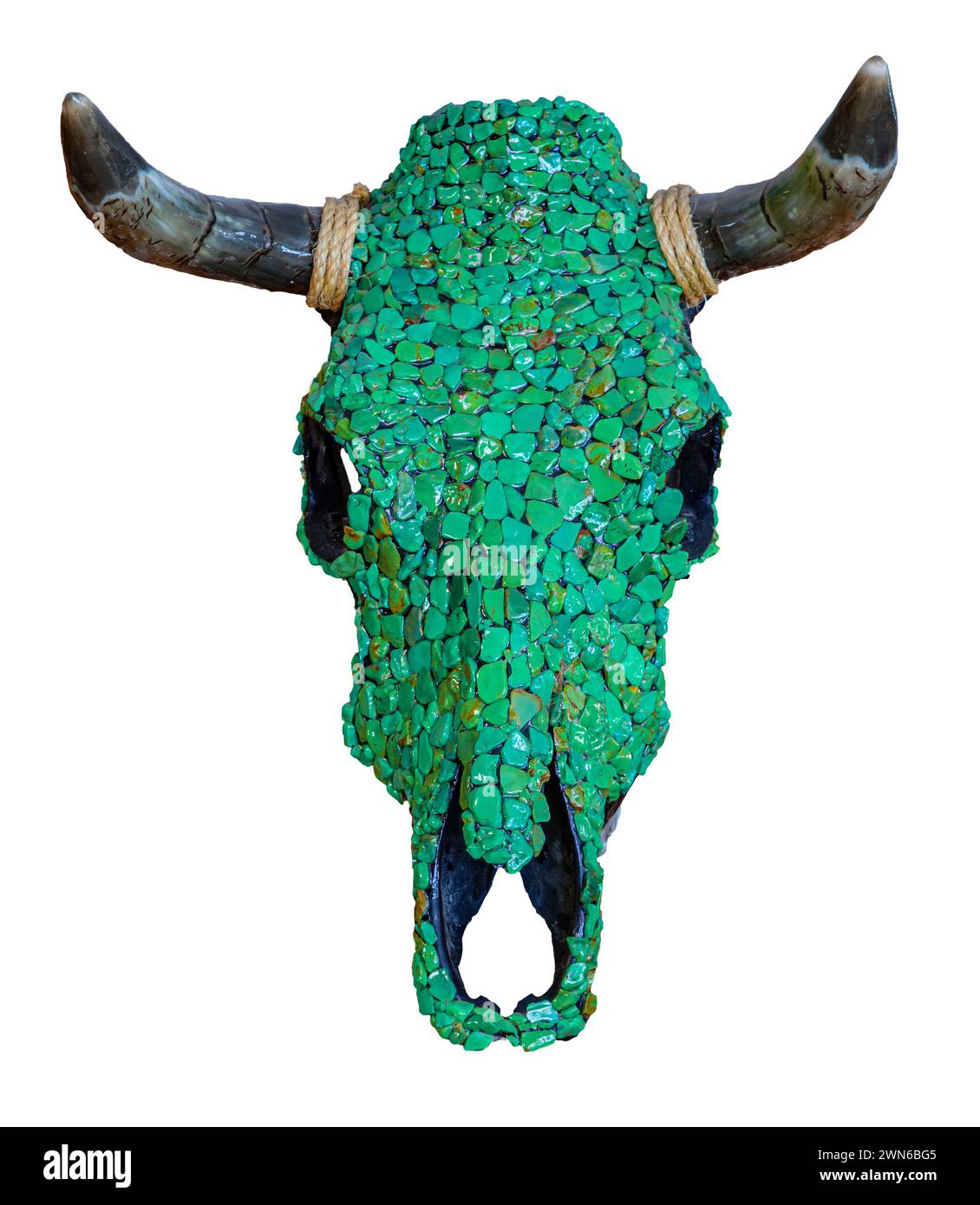 Turquoise Buffalo Skull isolated on white background. Decorated ...